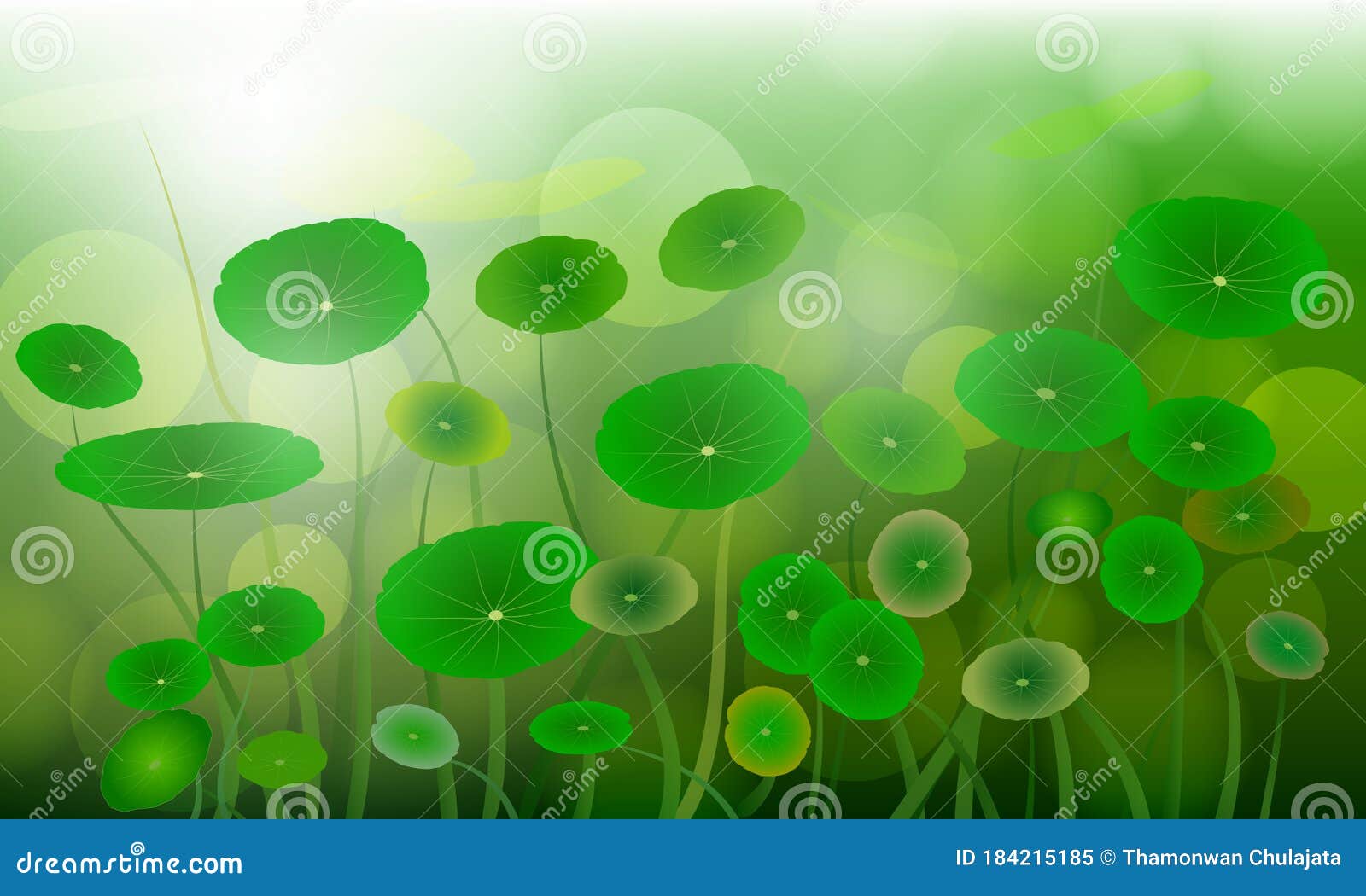 Centella Asiatica Seamless Pattern Vector Illustration. Gotu Kola ...