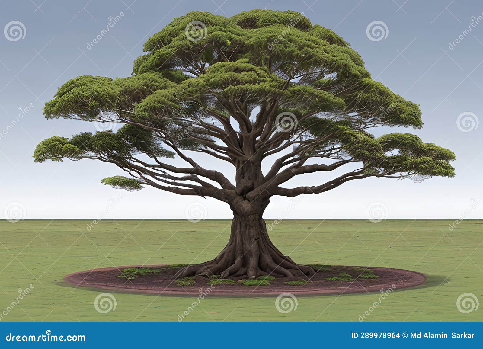 Centenarian Tree stock photo. Image of flower, natural - 289978964