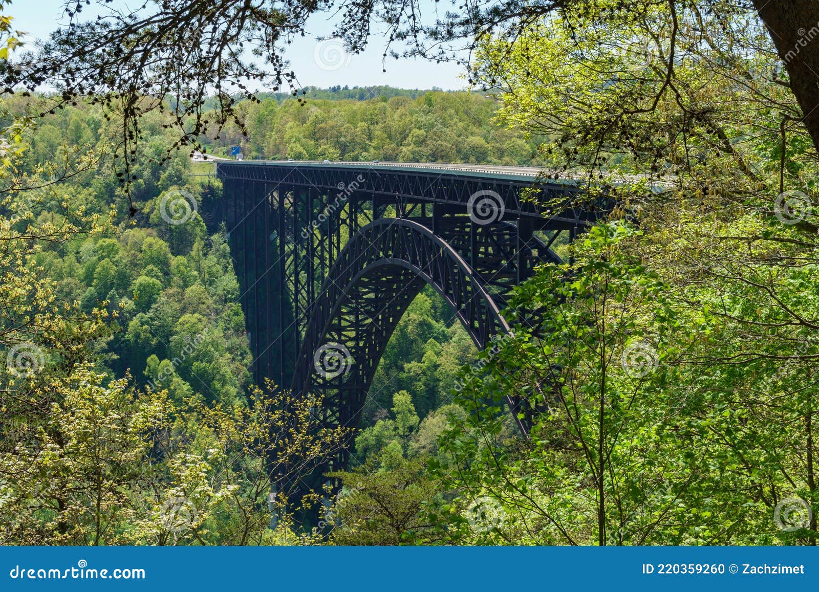 Center Arch of the New River Gorge Bridge Viewed between Foliage Stock ...