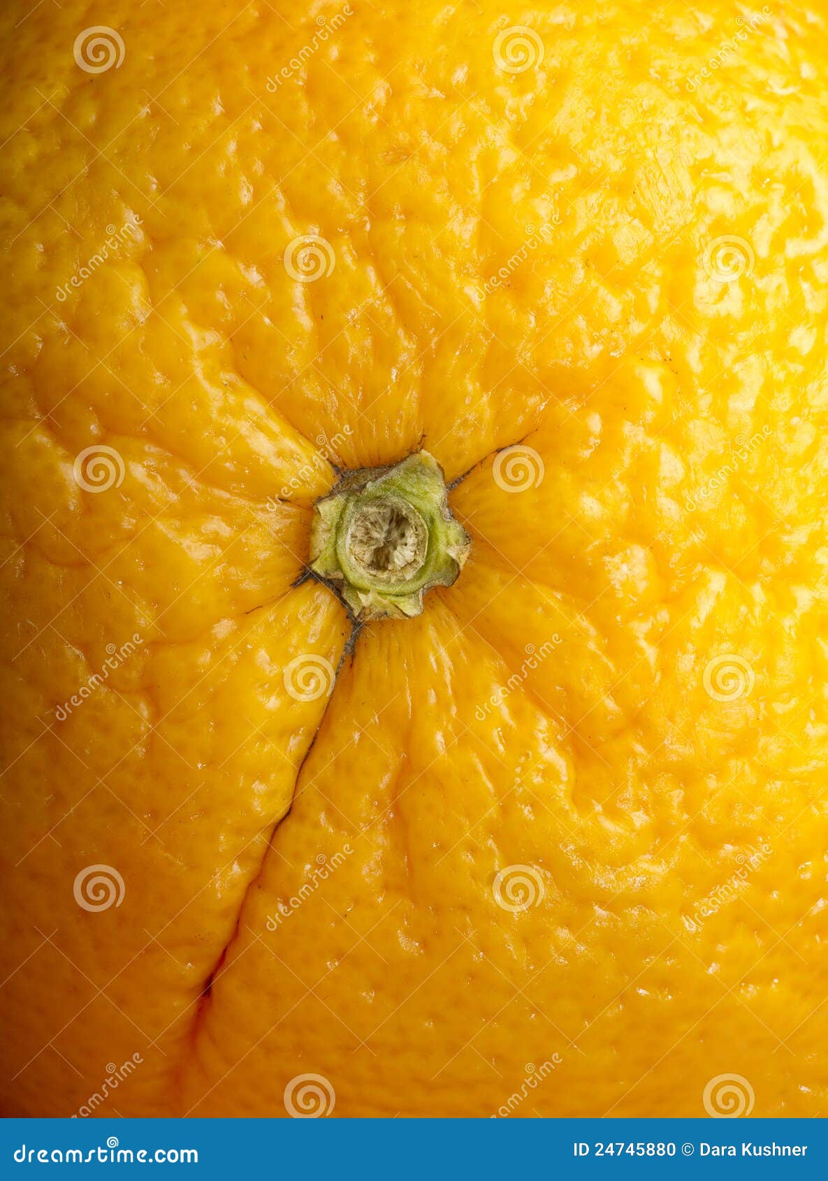 Center of the Orange stock photo. Image of orange, close - 24745880