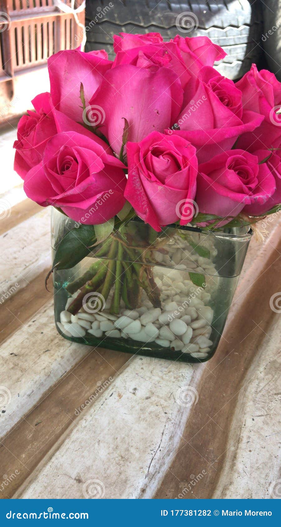Pink roses stock photo. Image of centerpieces, colors - 177381282