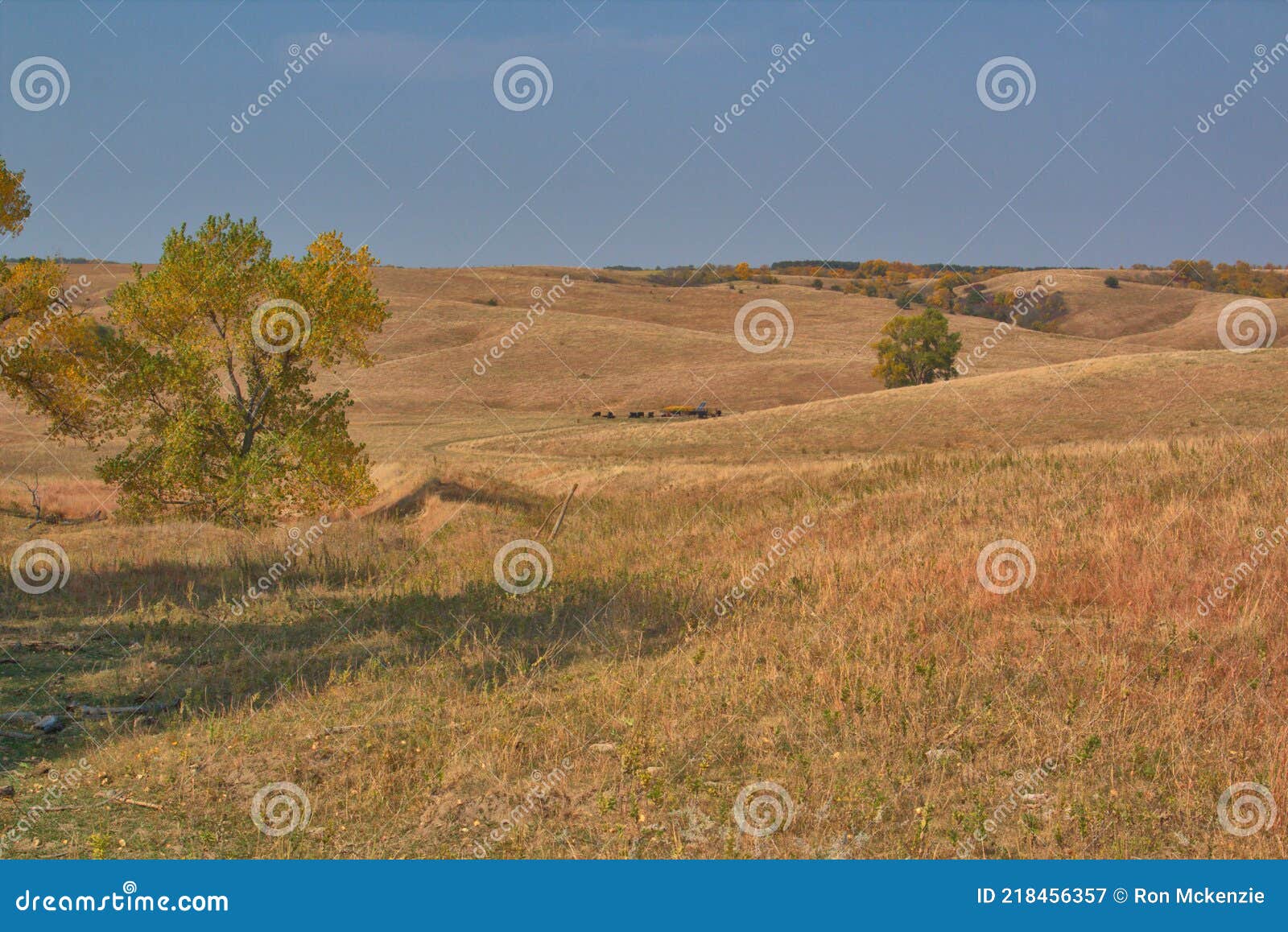 Fall colors on the prairie stock image. Image of nebraska - 218456357