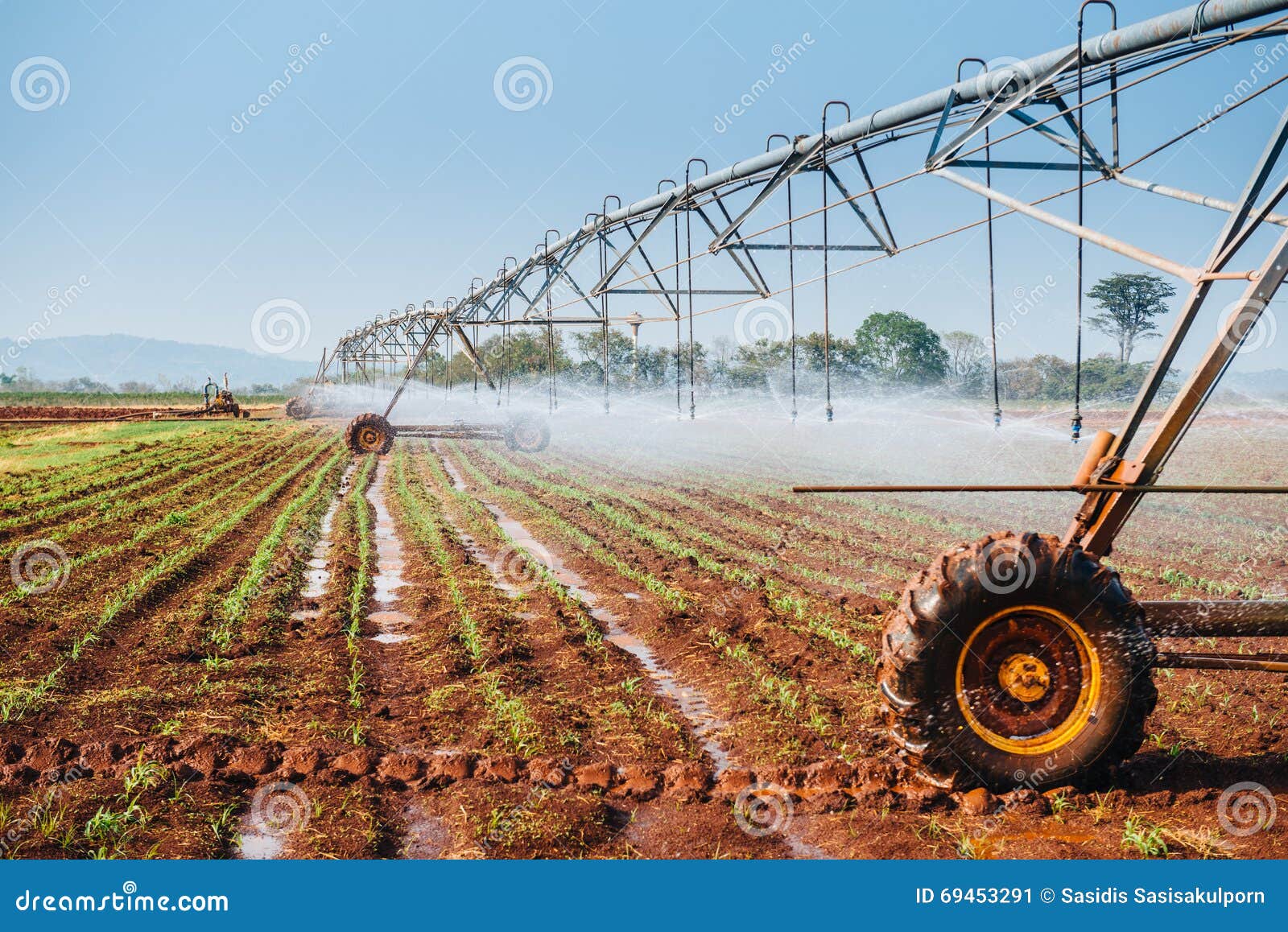 Center Pivot Sprinkler System Watering Corn Shoots Stock Image - Image ...