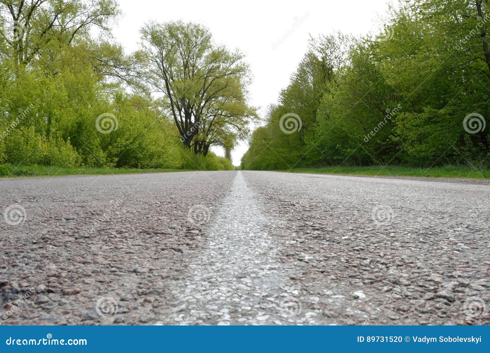 Center of the road stock photo. Image of ride, middle - 89731520