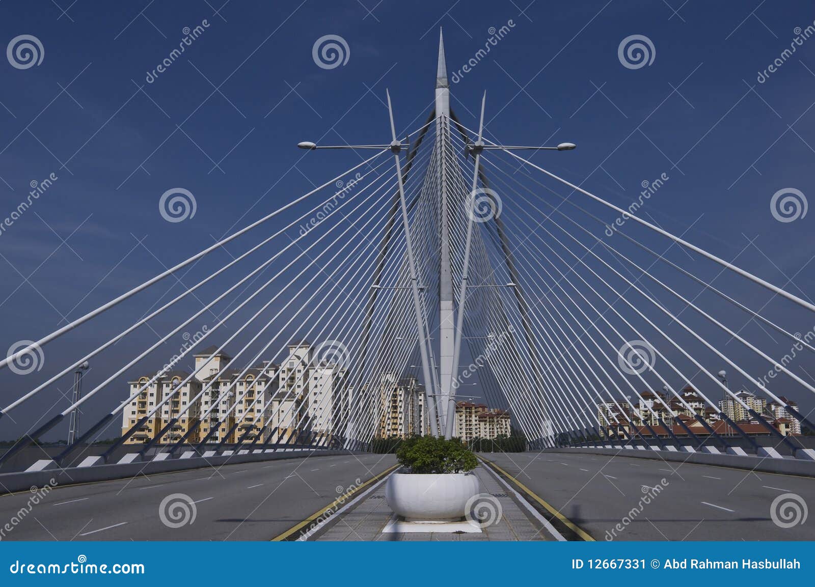 Center View of Cable-stayed Bridge Stock Image - Image of post, road ...