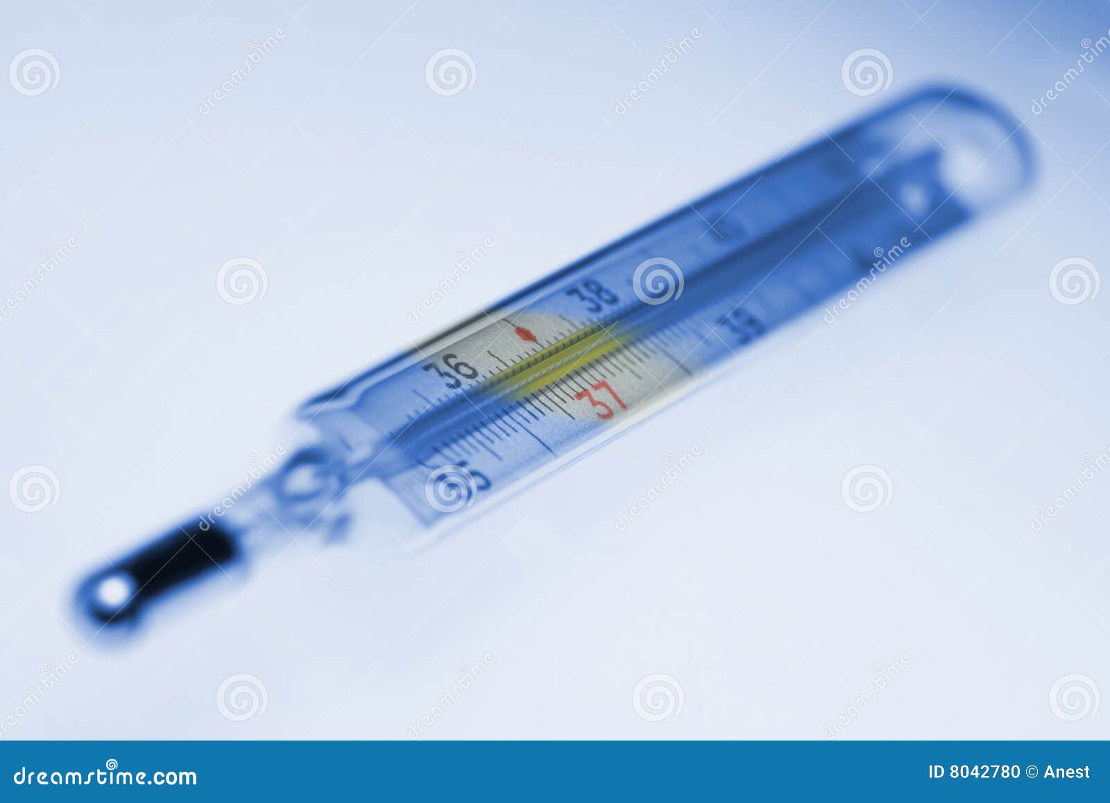 Centigrade Clinical Thermometer Tone in Blue Stock Photo - Image of ...