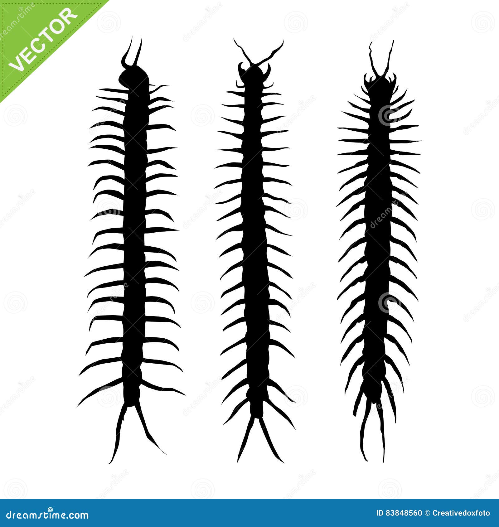 Centipede Silhouettes Vector Stock Vector - Illustration of macro ...