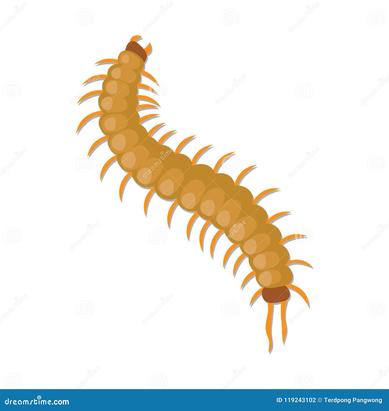 Centipede vector design stock illustration. Illustration of isolate ...