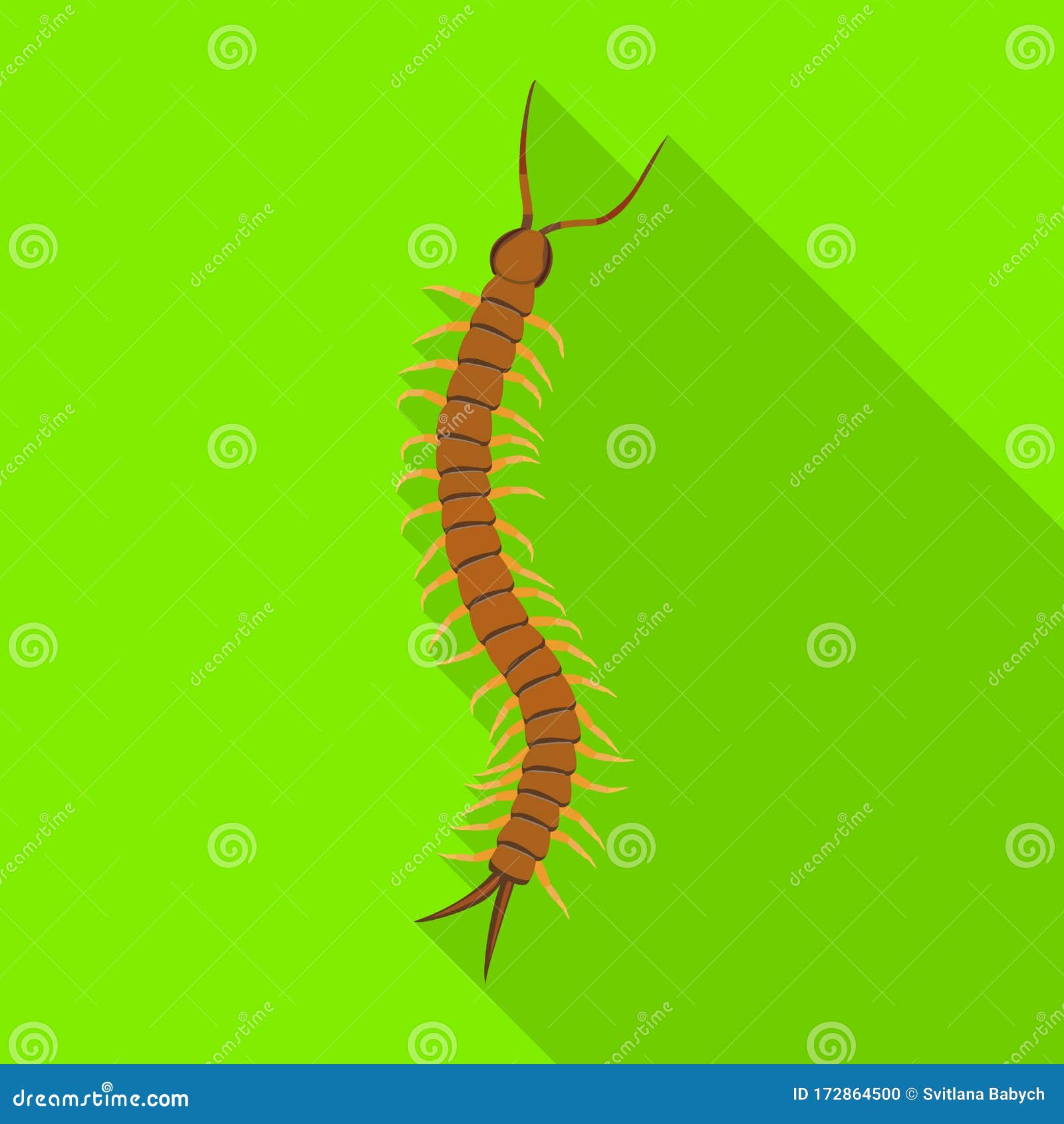 Centipede Vector Icon.Flat Vector Icon Isolated on White Background ...