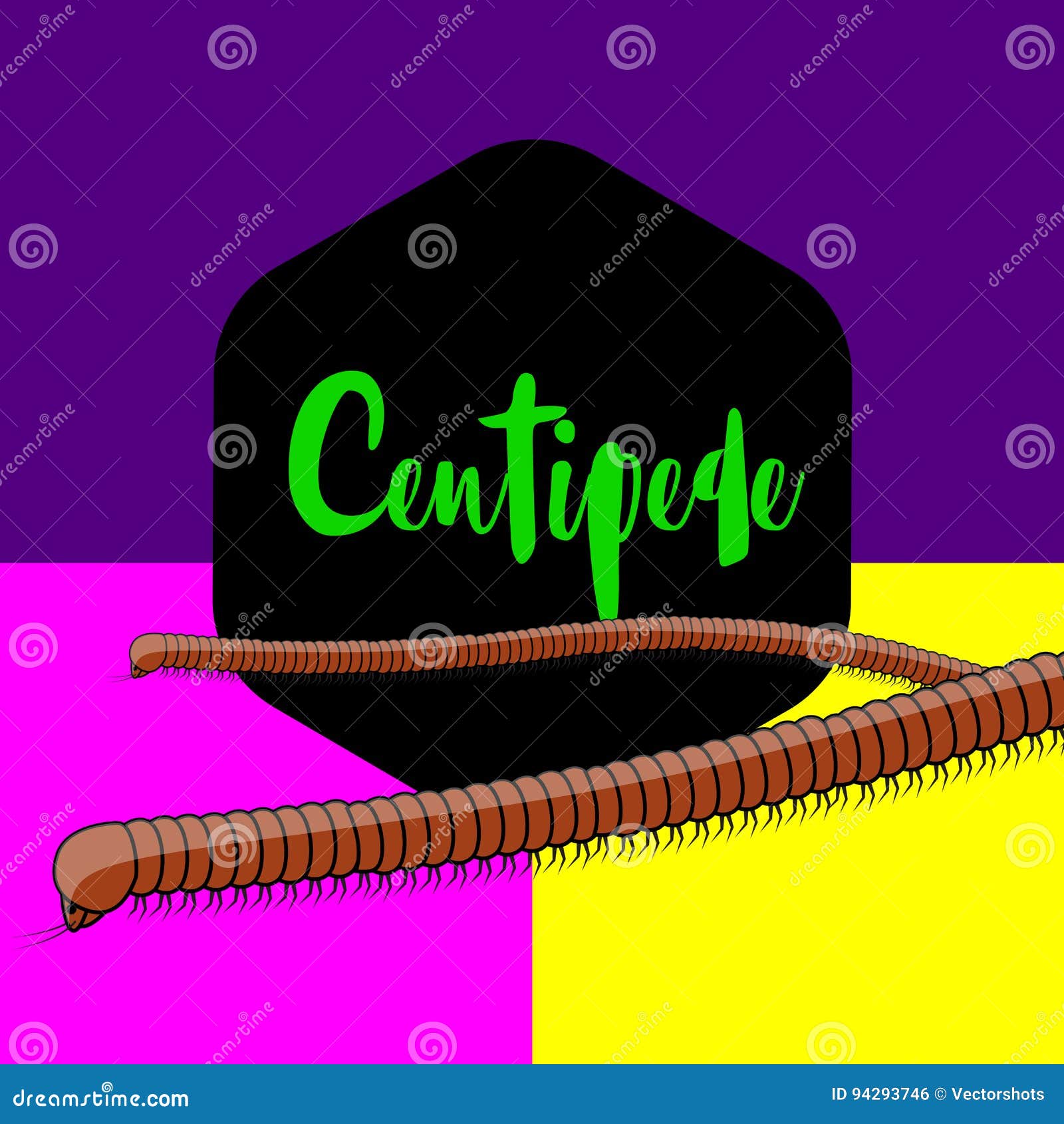 Centipede Worm Vector Template Stock Vector - Illustration of pest ...