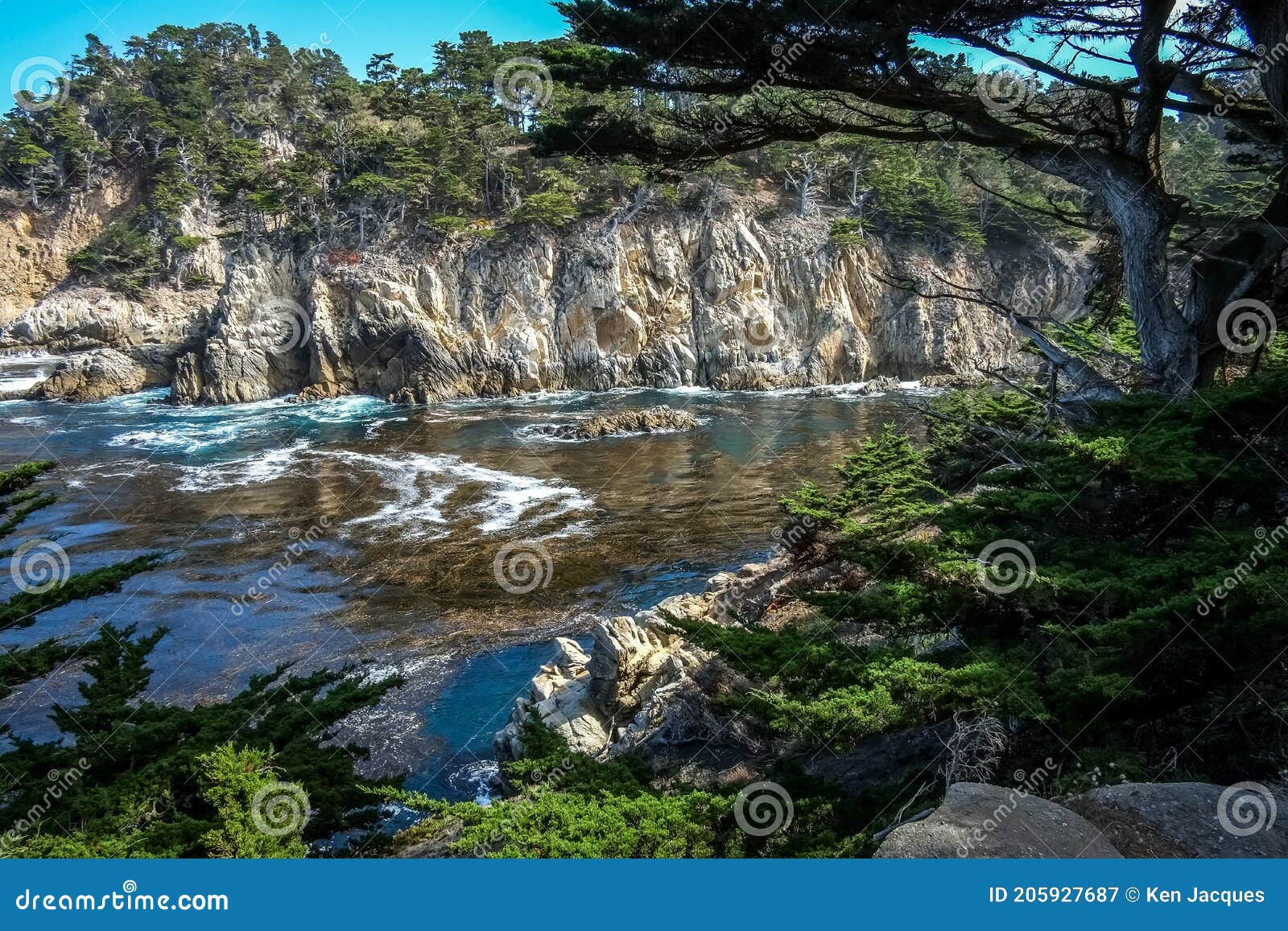 Central California Coast Kelp Forests Trees Pacific Ocean Stock Image ...