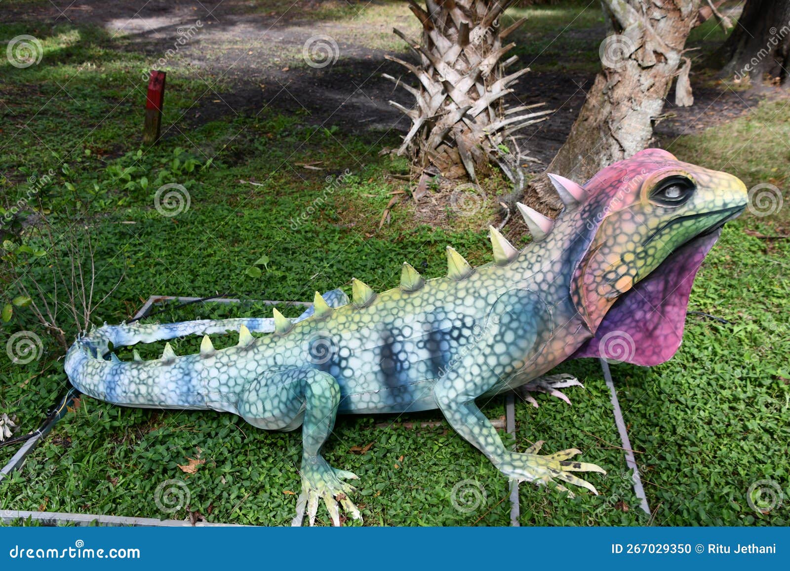Central Florida Zoo and Botanical Gardens in Orlando, Florida Stock ... Central Florida Zoo and Botanical Gardens in Orlando, Florida Stock ...