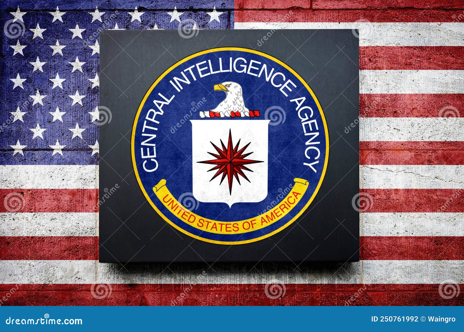 Central Intelligence Agency Logo Editorial Photo | CartoonDealer.com ...