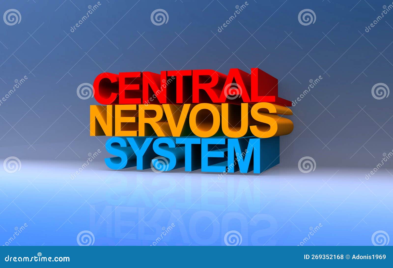 Central Nervous System on Blue Stock Illustration - Illustration of ...