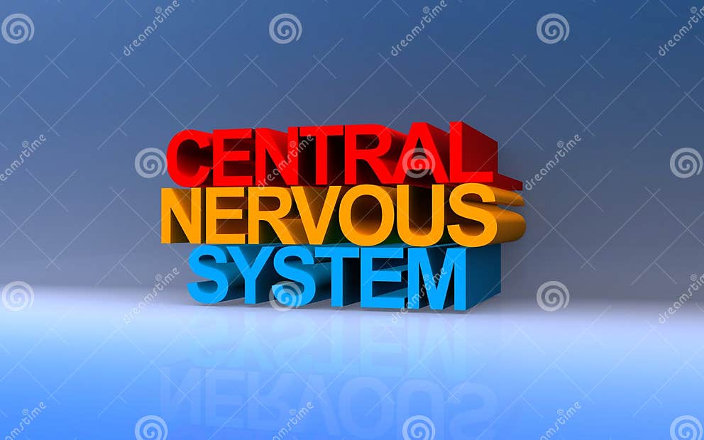 Central Nervous System on Blue Stock Illustration - Illustration of ...
