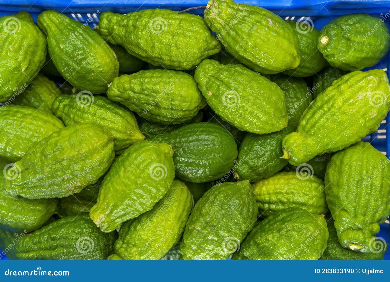 Jara Lemon stock photo. Image of fruit, agriculture - 283833190