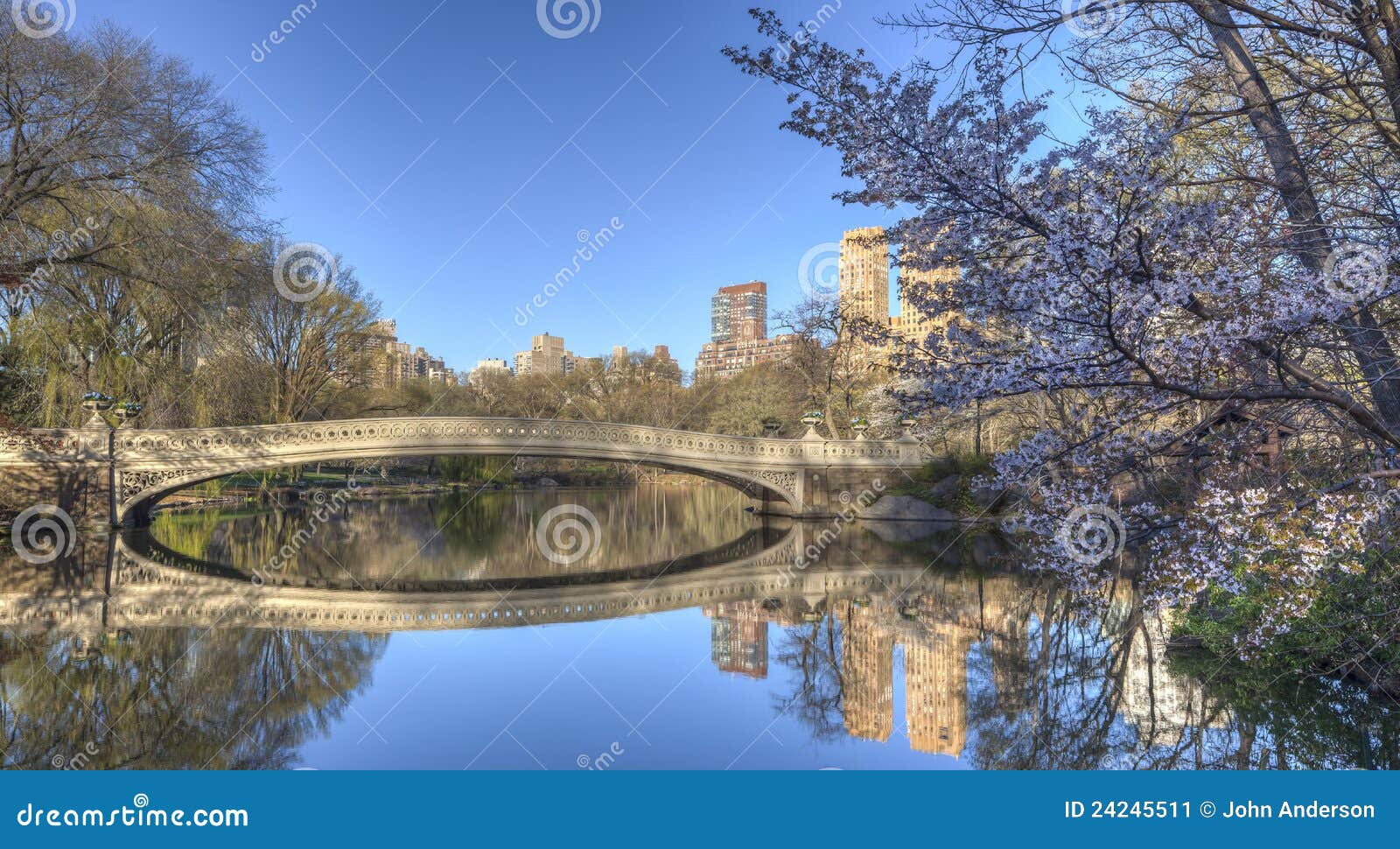 Central Park Bow Bridge Spring Stock Image - Image of early, flowers ...