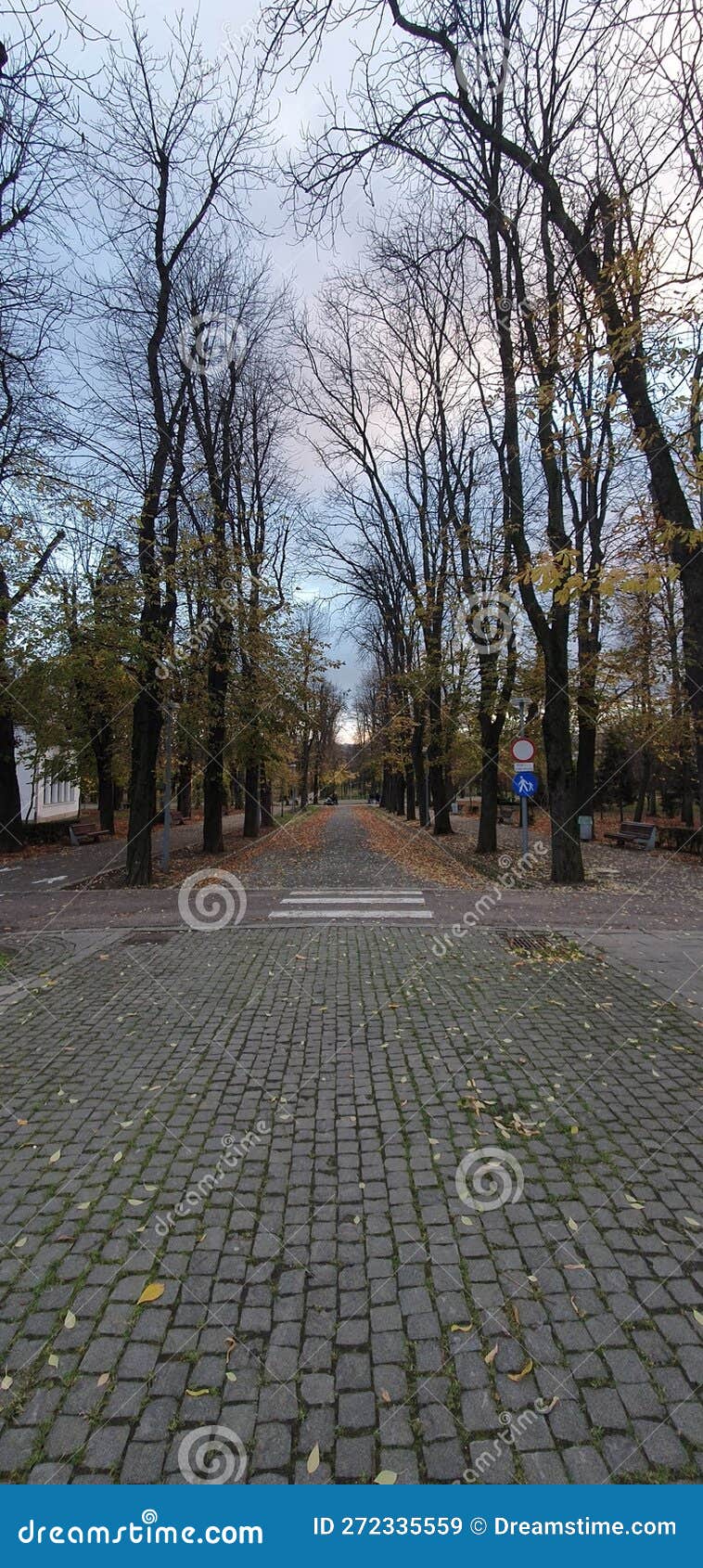 Central Park in Cluj Napoca Stock Image - Image of clujnapoca, woodland ...