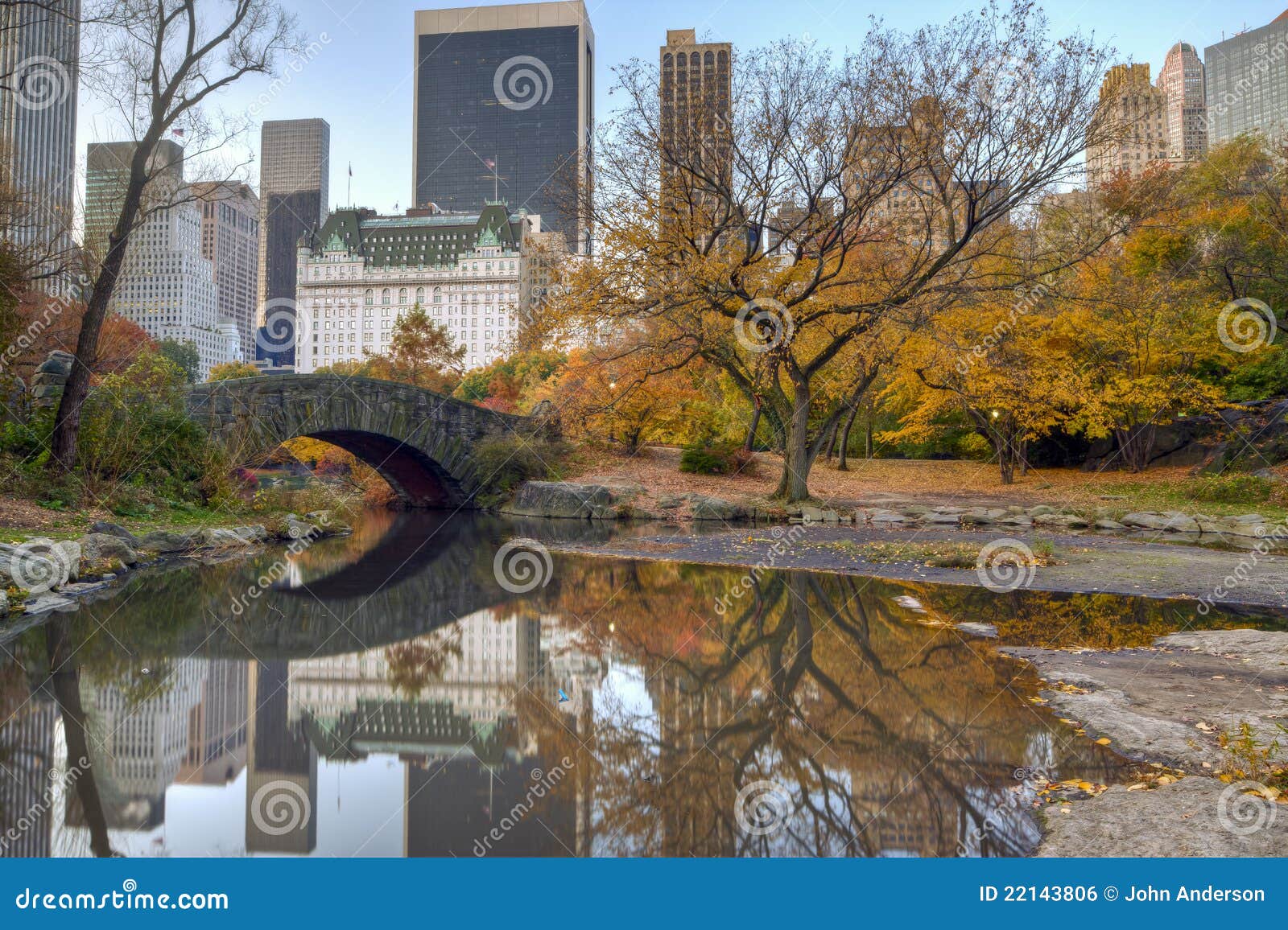 Central Park Gapstow Bridge Stock Photo - Image of bridge, plants: 22143806
