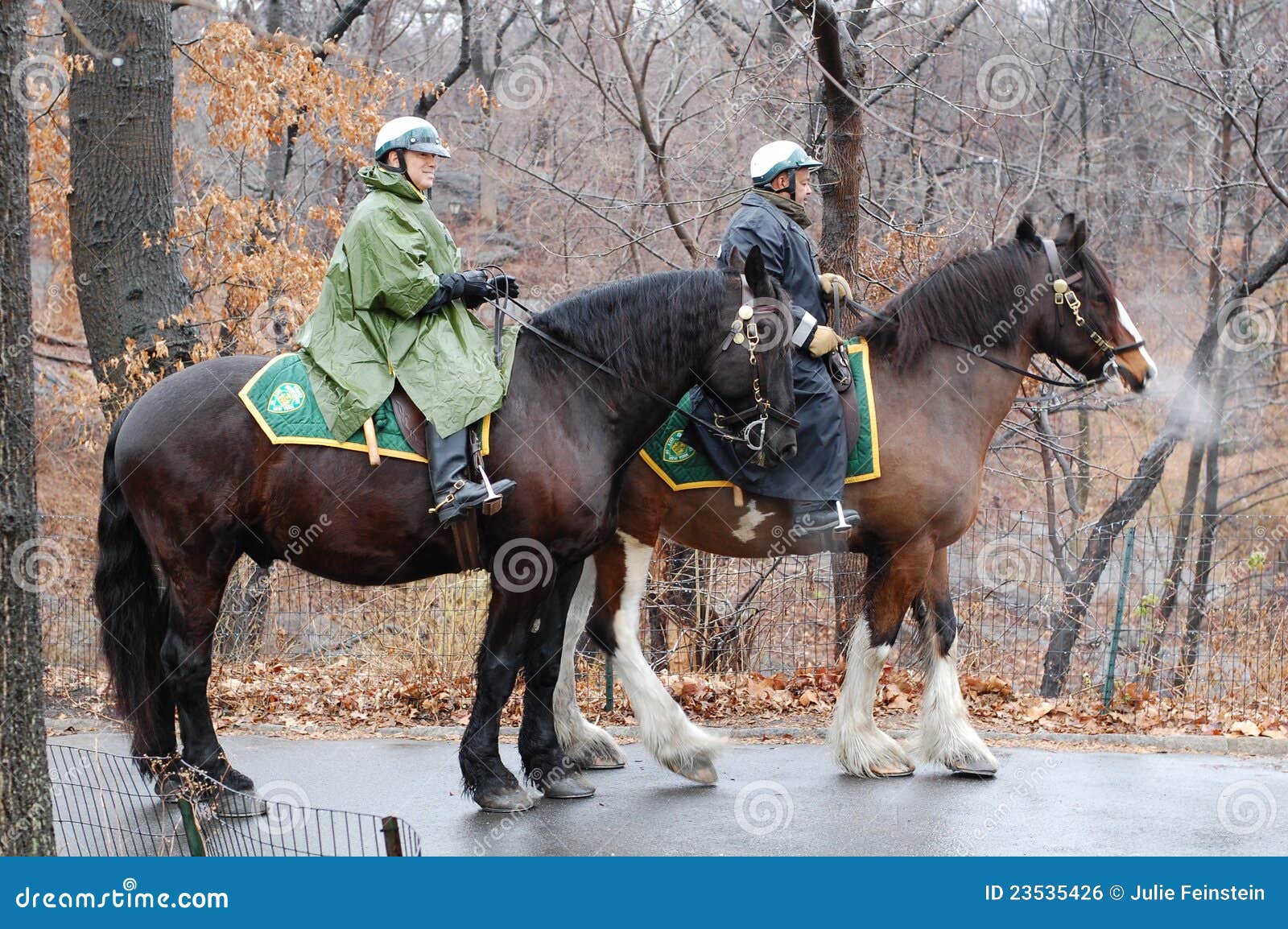 Central Park Horse Patrol editorial photo. Image of safety - 23535426