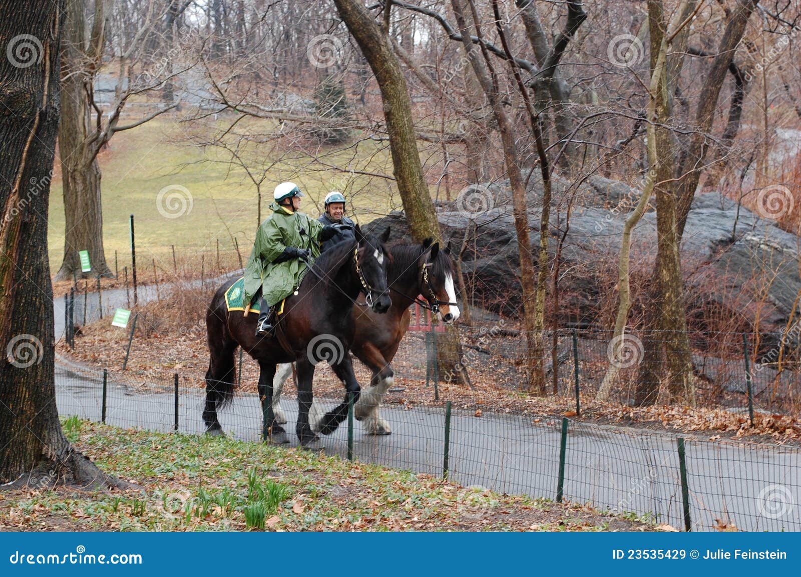 Central Park Horse Patrol editorial stock image. Image of ride - 23535429