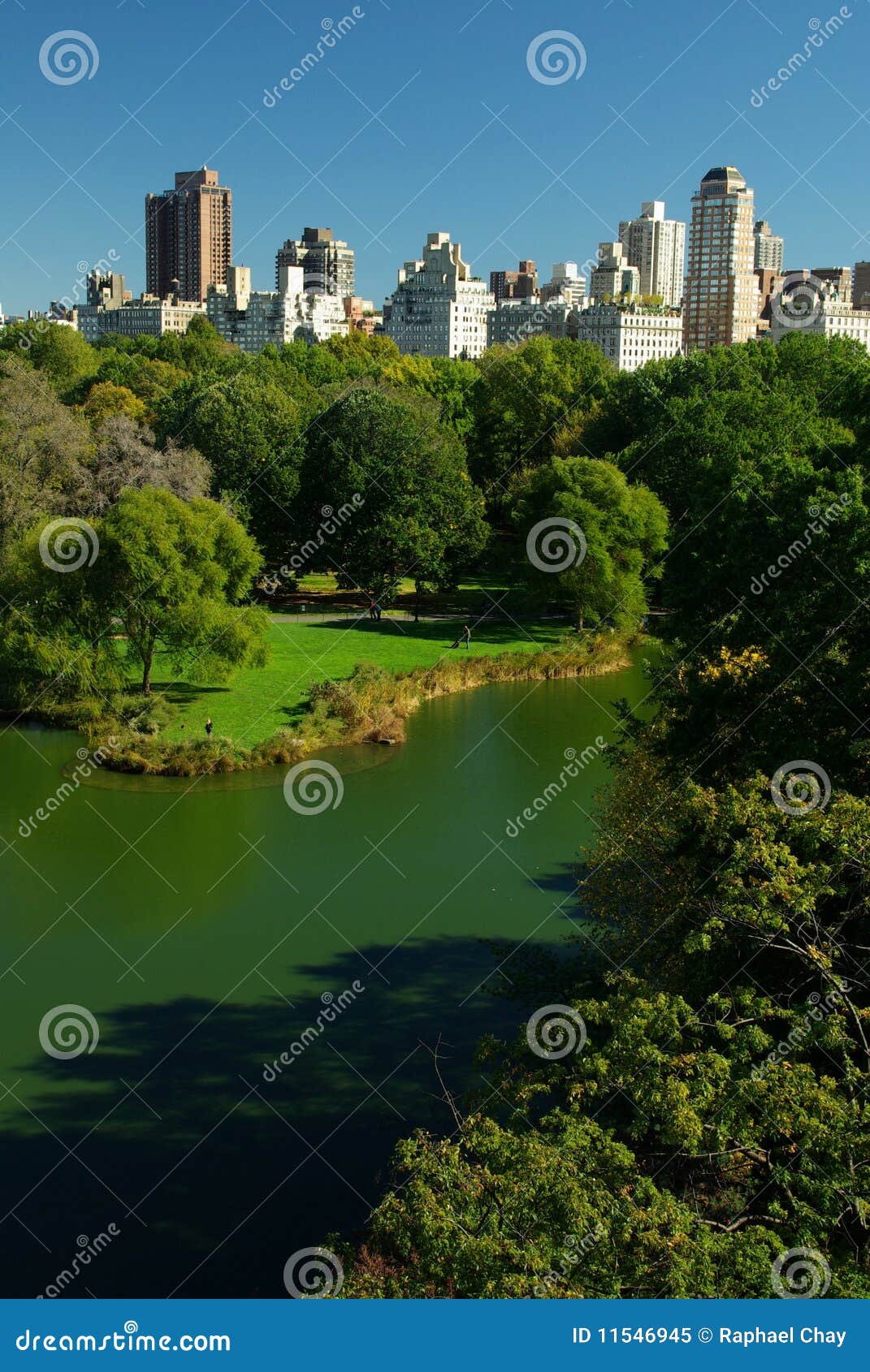 Central Park Lake stock image. Image of liberty, park - 11546945