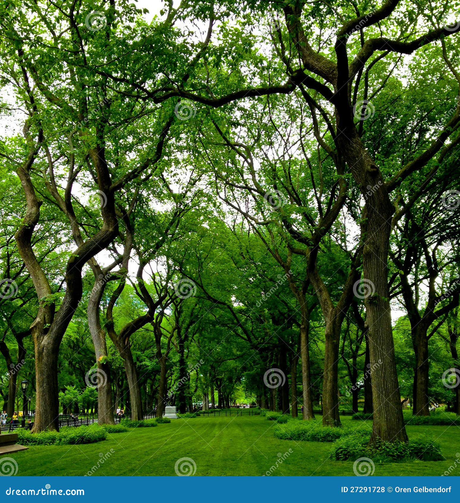 Central Park in New York City Editorial Stock Photo - Image of america ...