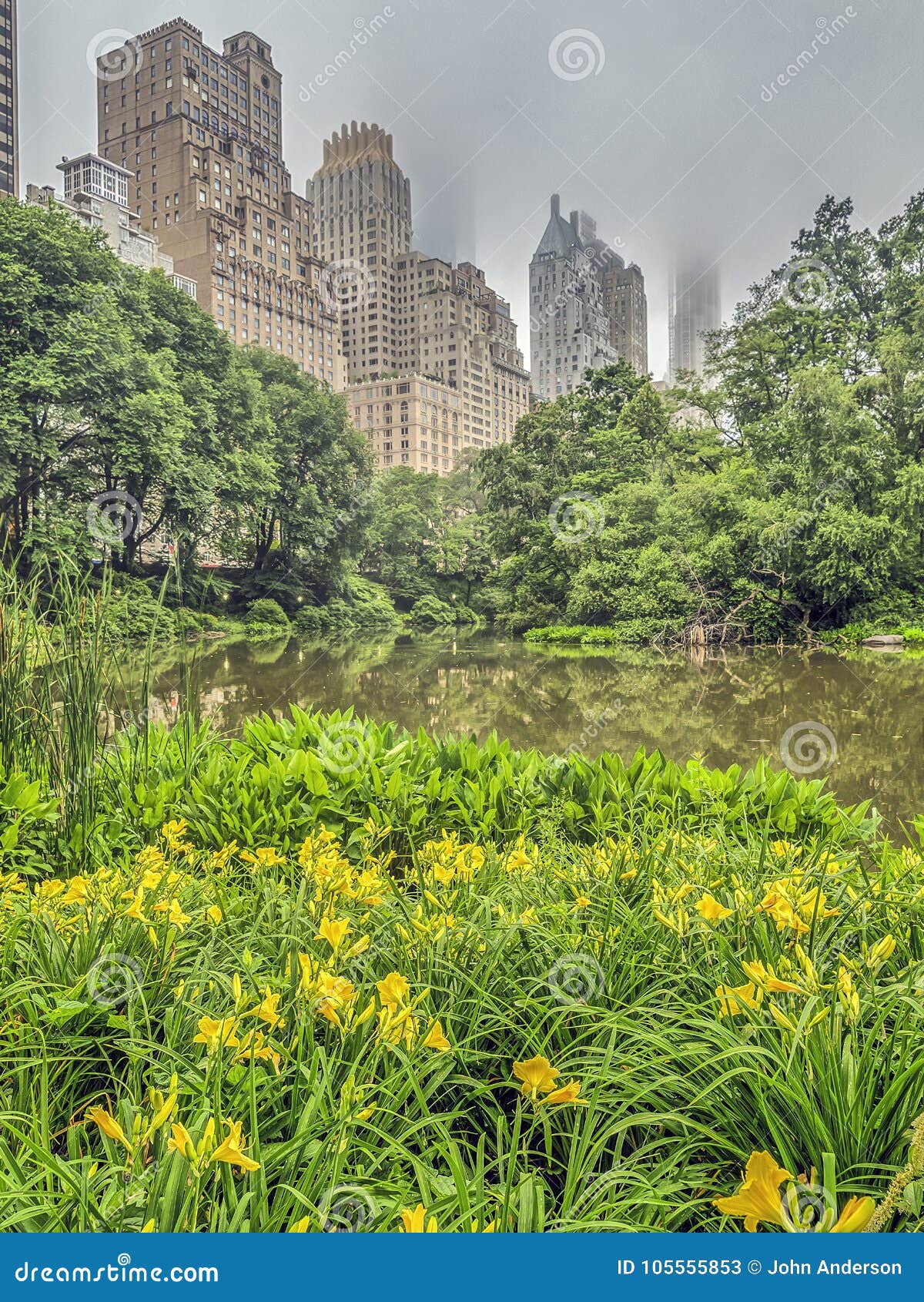 Central Park, New York City Spring Stock Image - Image of city, park ...
