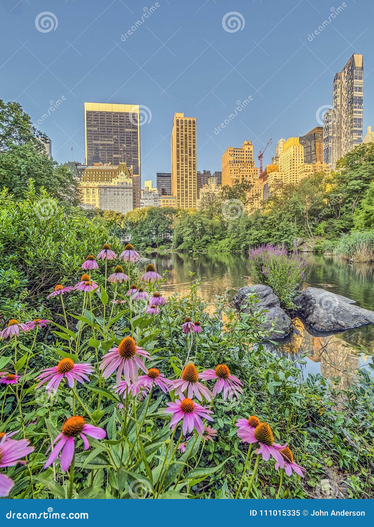 Central Park, New York City Spring Stock Image - Image of summer ...