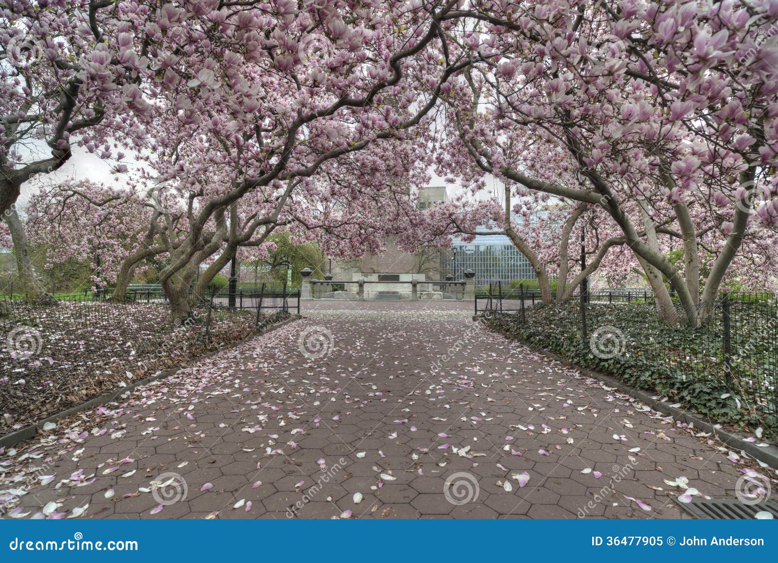 Central Park, New York City Spring Stock Image - Image of york, spring ...