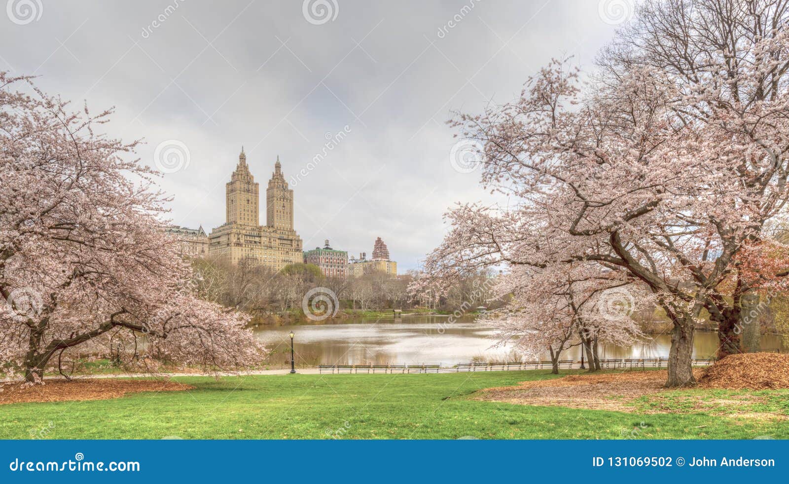 Central Park, New York City in Spring Stock Photo - Image of lake ...