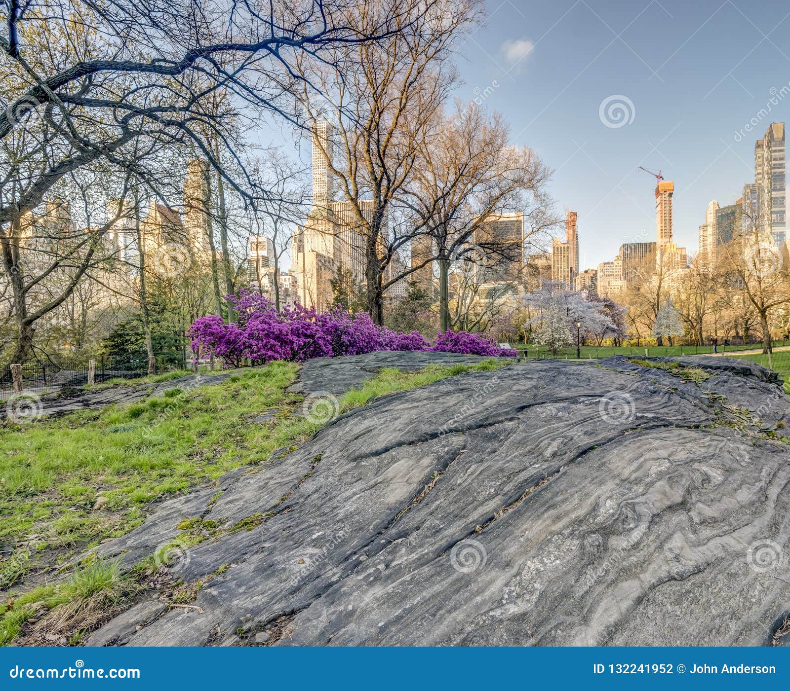 Central Park, New York City in Spring Stock Photo - Image of park ...