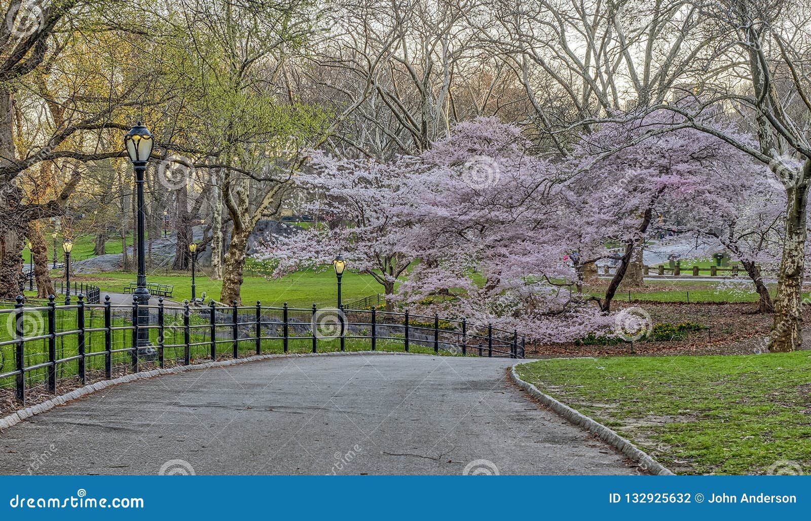 Central Park, New York City in Spring Stock Photo - Image of city ...