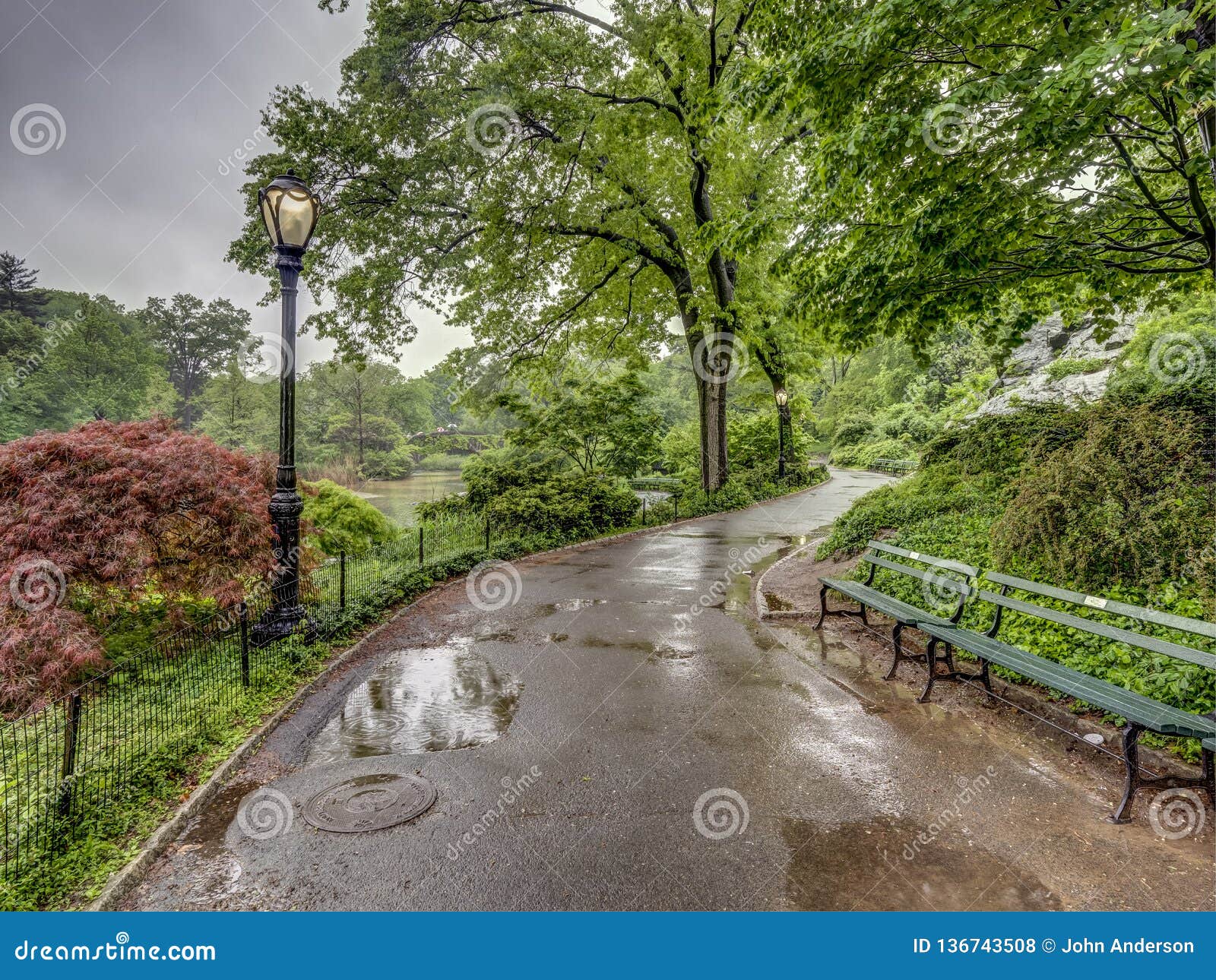 Central Park, New York City in Spring Stock Photo - Image of lights ...