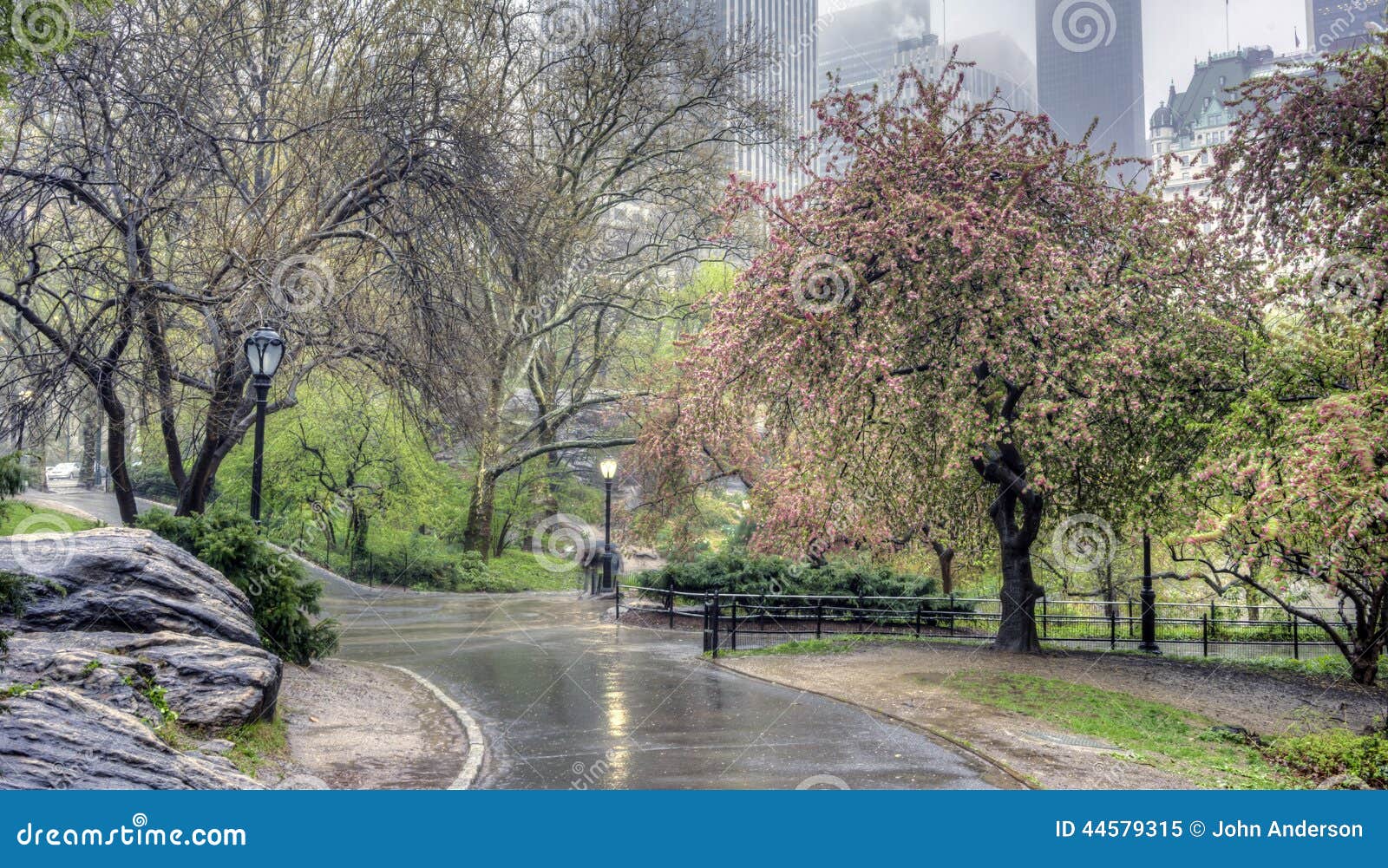 Central Park, New York City during Spring Rain Stock Image - Image of ...