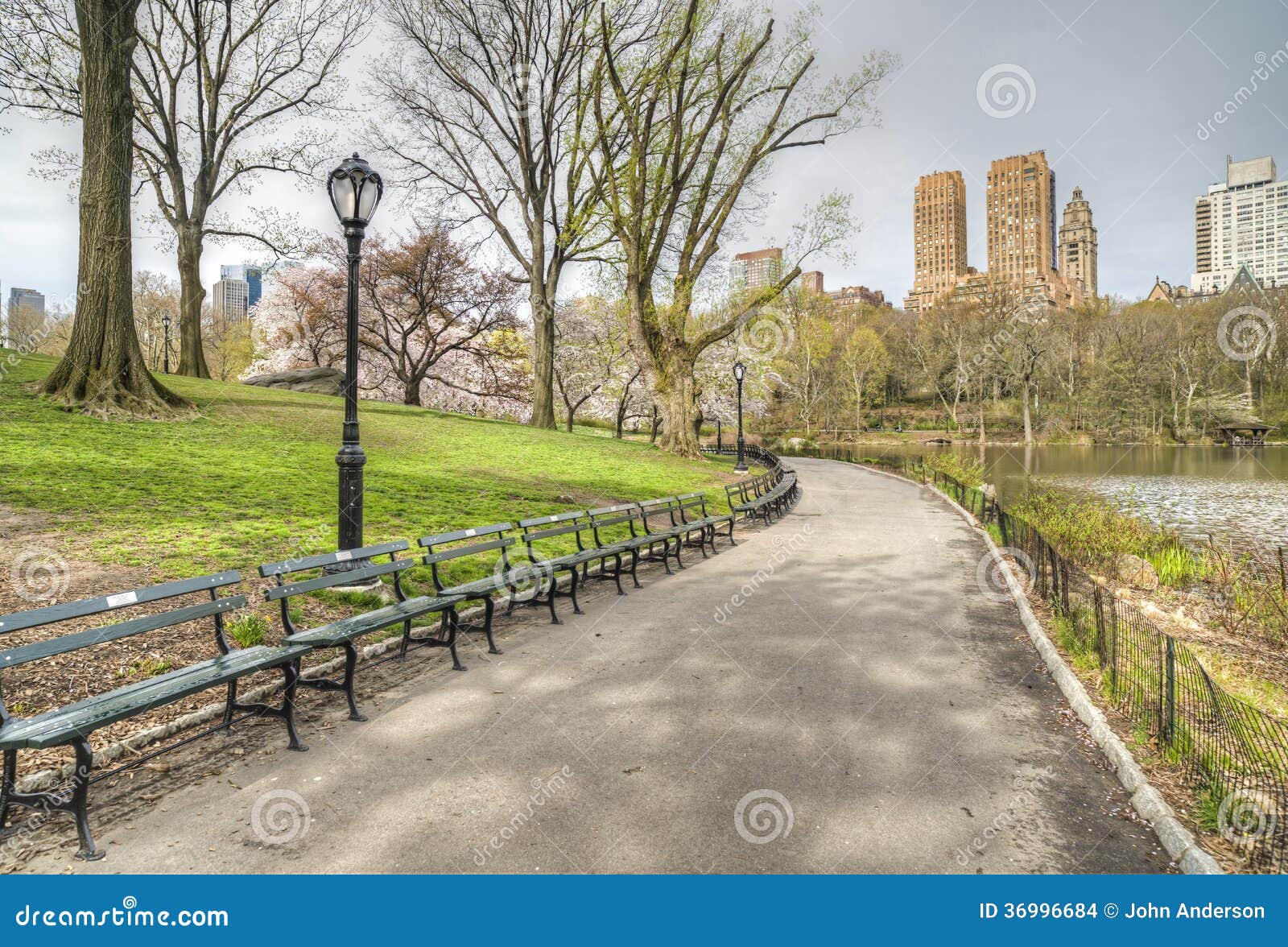 Central Park, New York City Spring Stock Photo - Image of cherry, lamp ...
