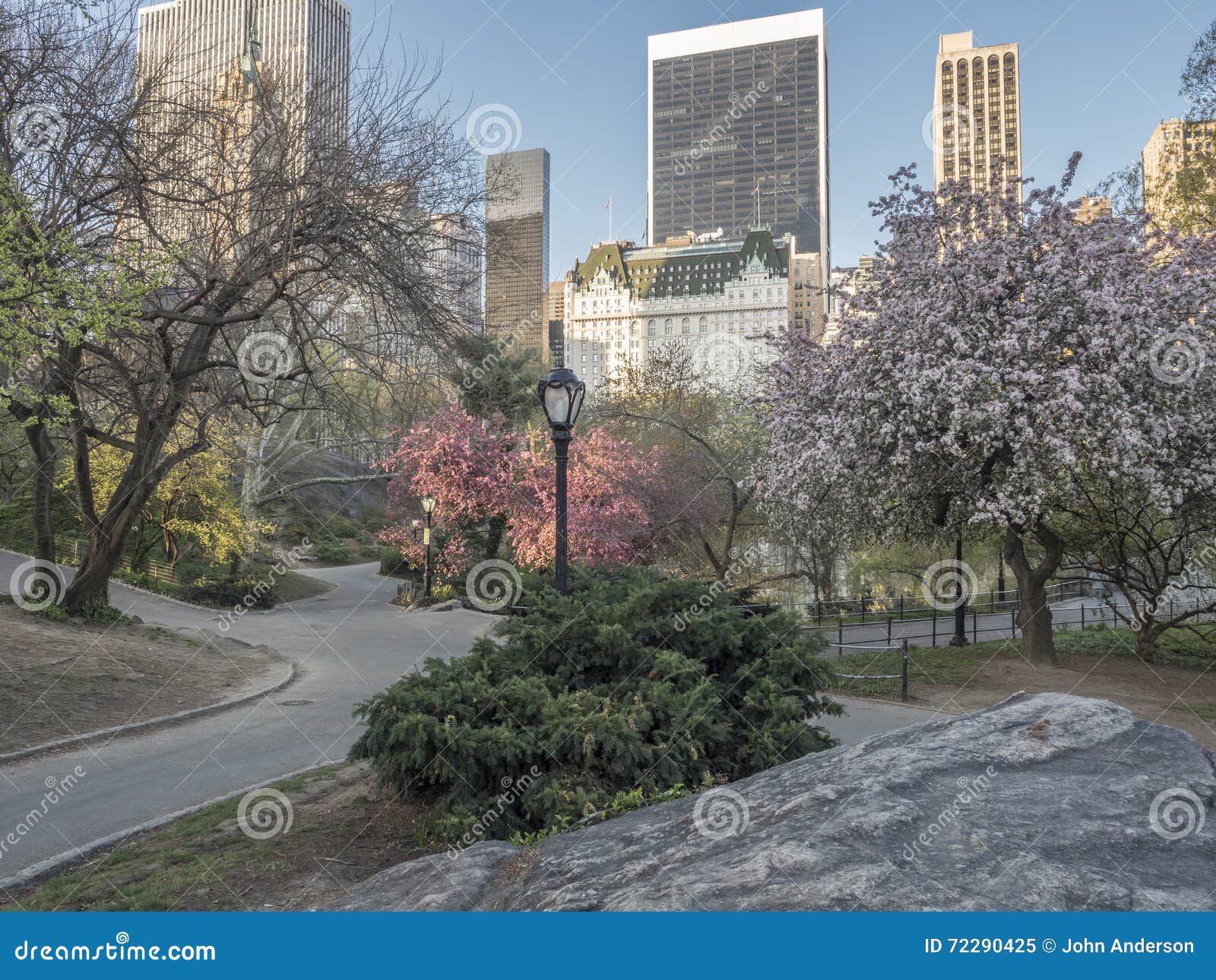 Central Park, New York City Stock Image - Image of bench, spring: 72290425