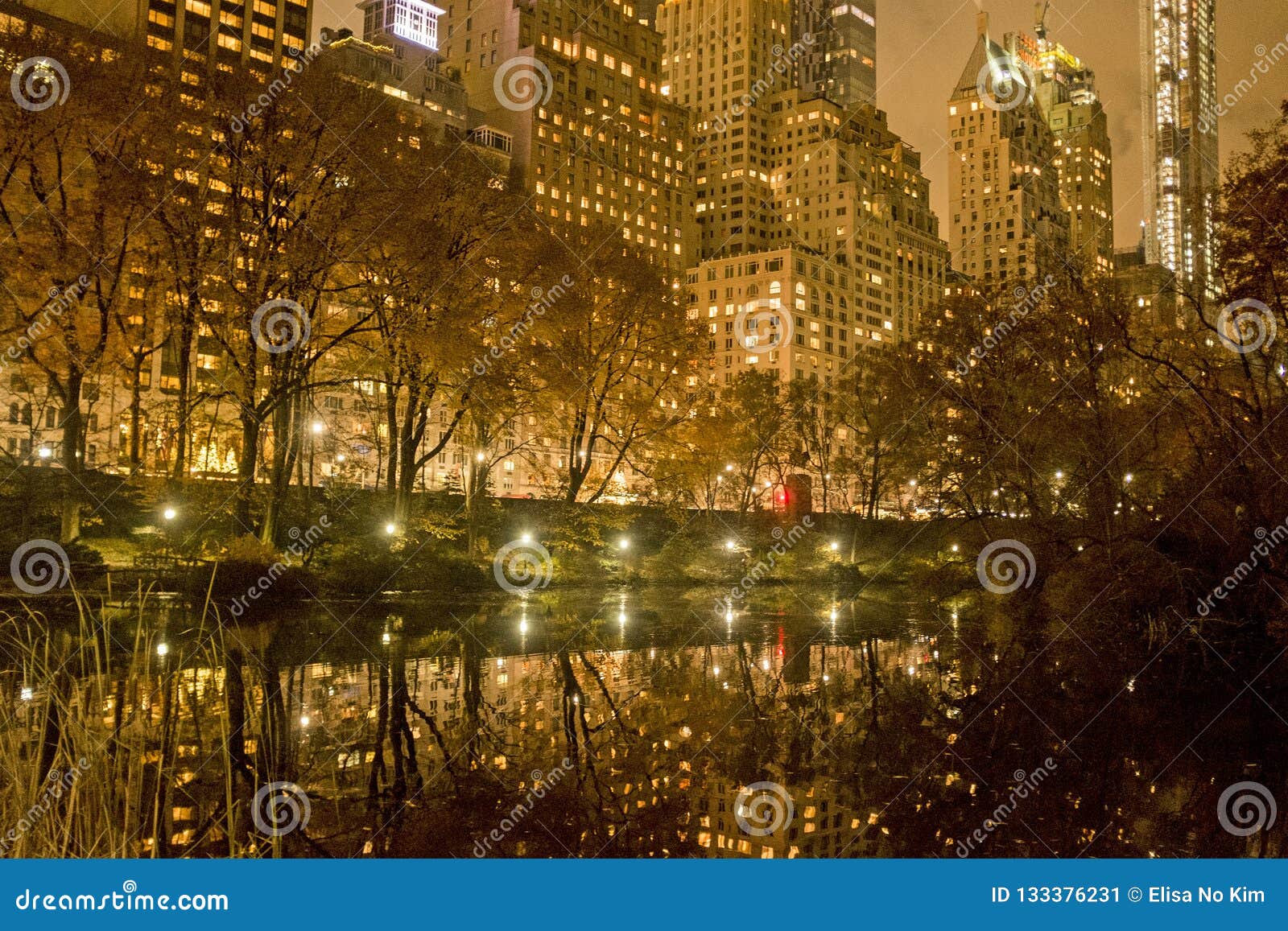 Central park at night editorial photo. Image of trees - 133376231