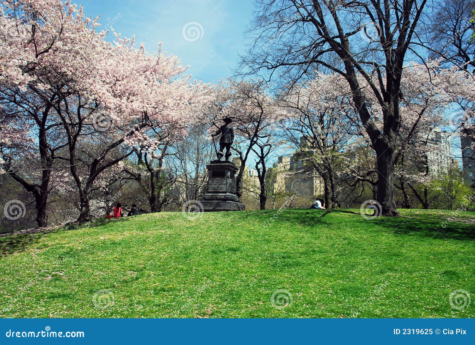 Central Park NYC in spring stock image. Image of midtown - 2319625
