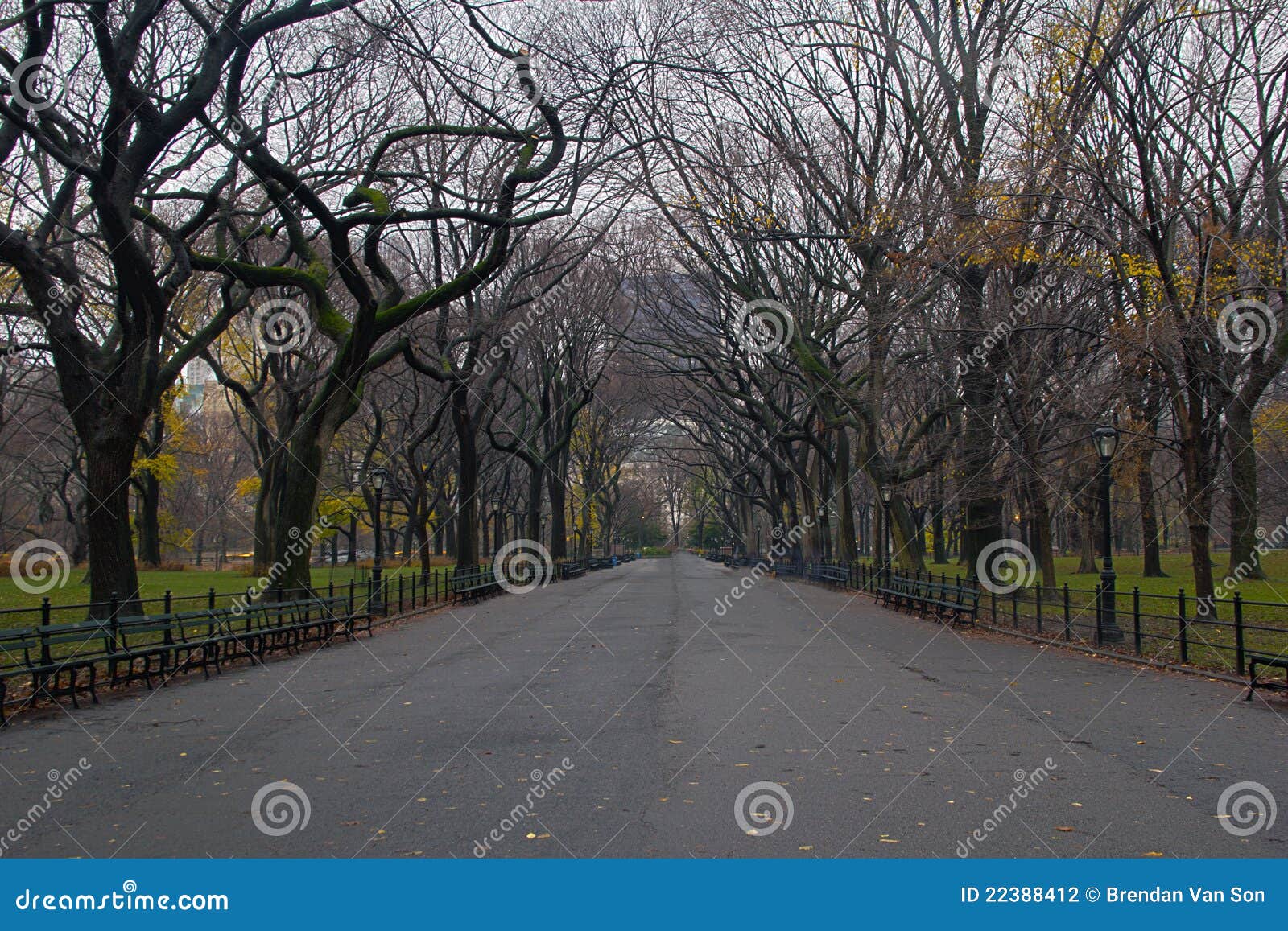 Central Park Path stock photo. Image of path, nature - 22388412