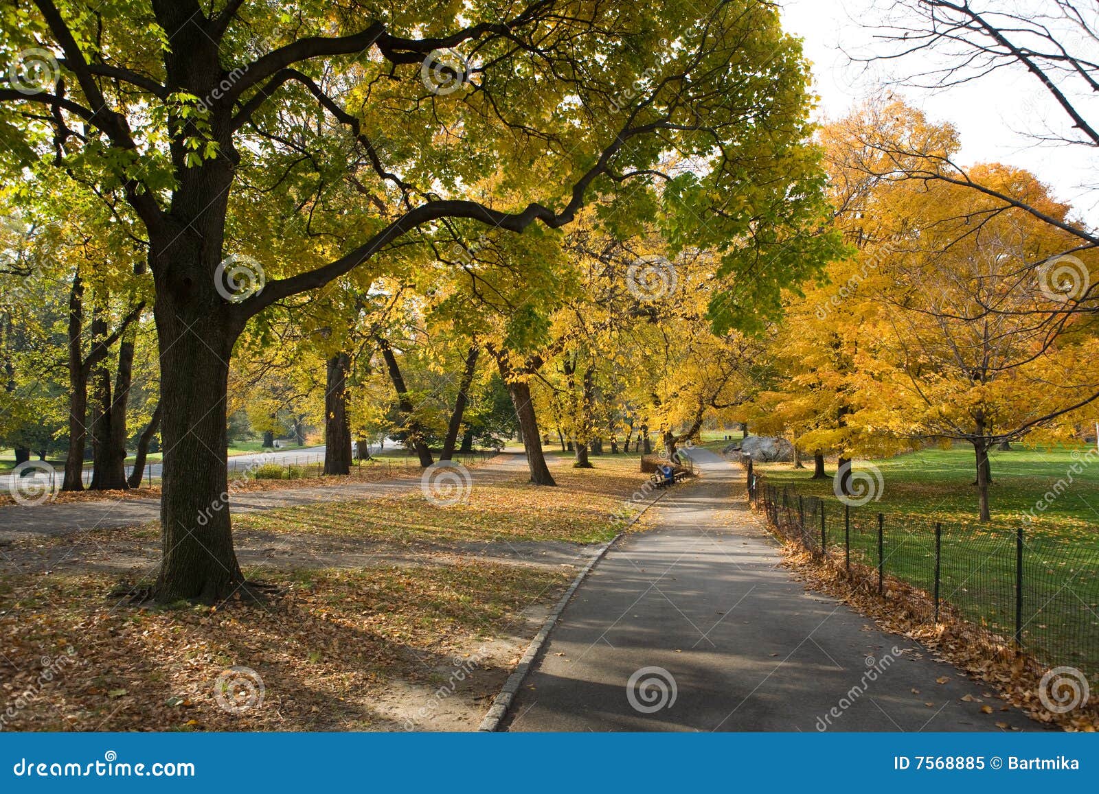 CENTRAL PARK PATH stock image. Image of leaves, vegetation - 7568885