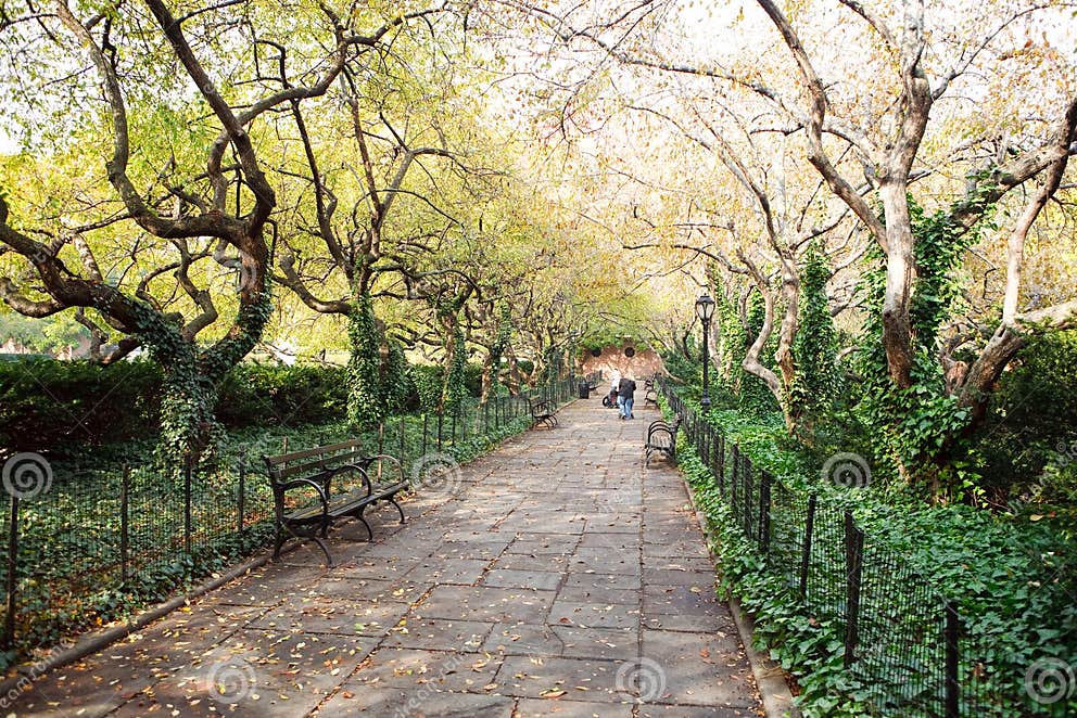 Central Park Path stock photo. Image of park, manhattan - 8171016
