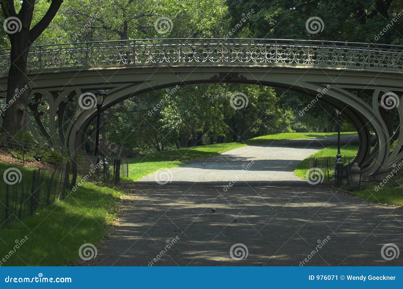 Central Park Path and Bridge Stock Image - Image of green, walk: 976071