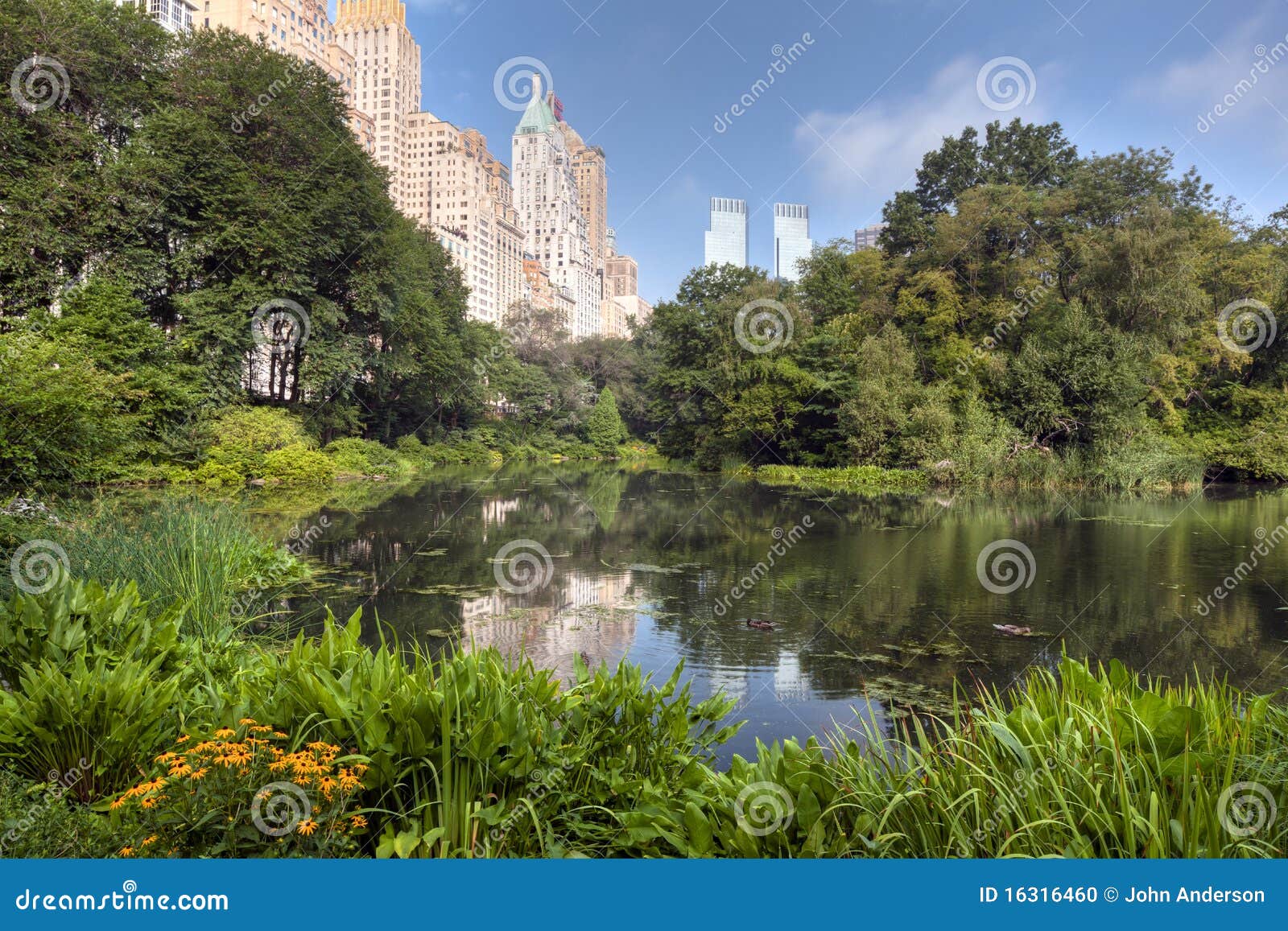 Central Park at the pond stock photo. Image of city, york - 16316460