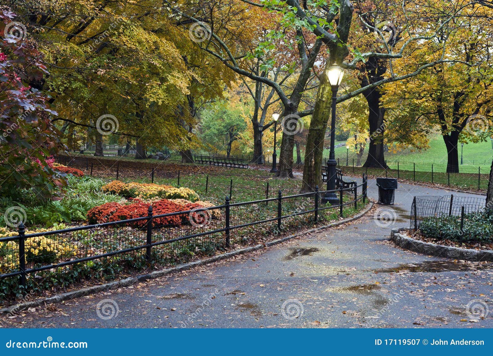 Central Park after Rain Storm Stock Image - Image of leaves, foliage ...