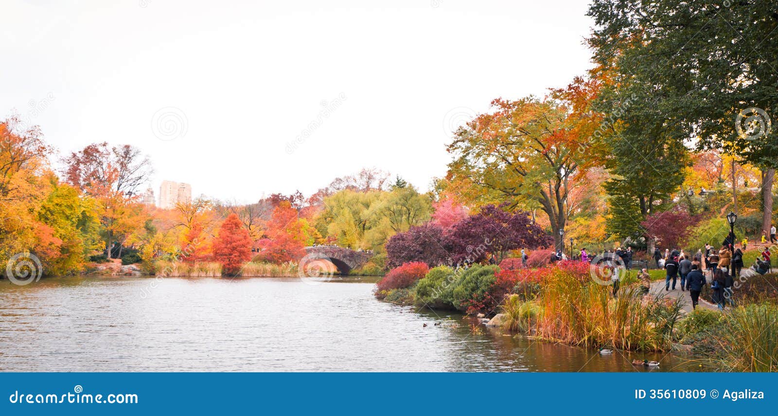 Central Park S Pond in the Fall Stock Image - Image of midtown, foliage ...