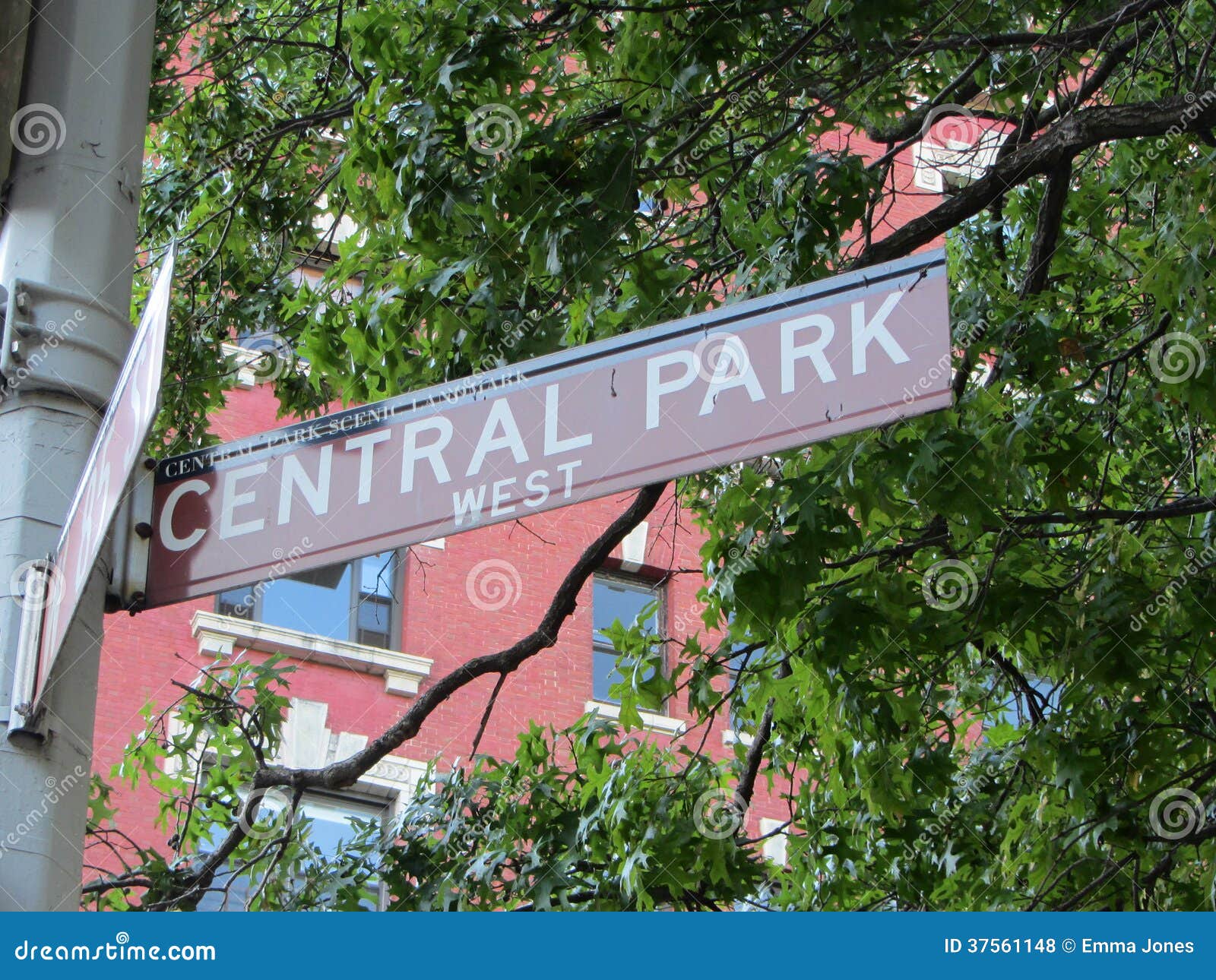 Central Park sign stock photo. Image of building, sign - 37561148