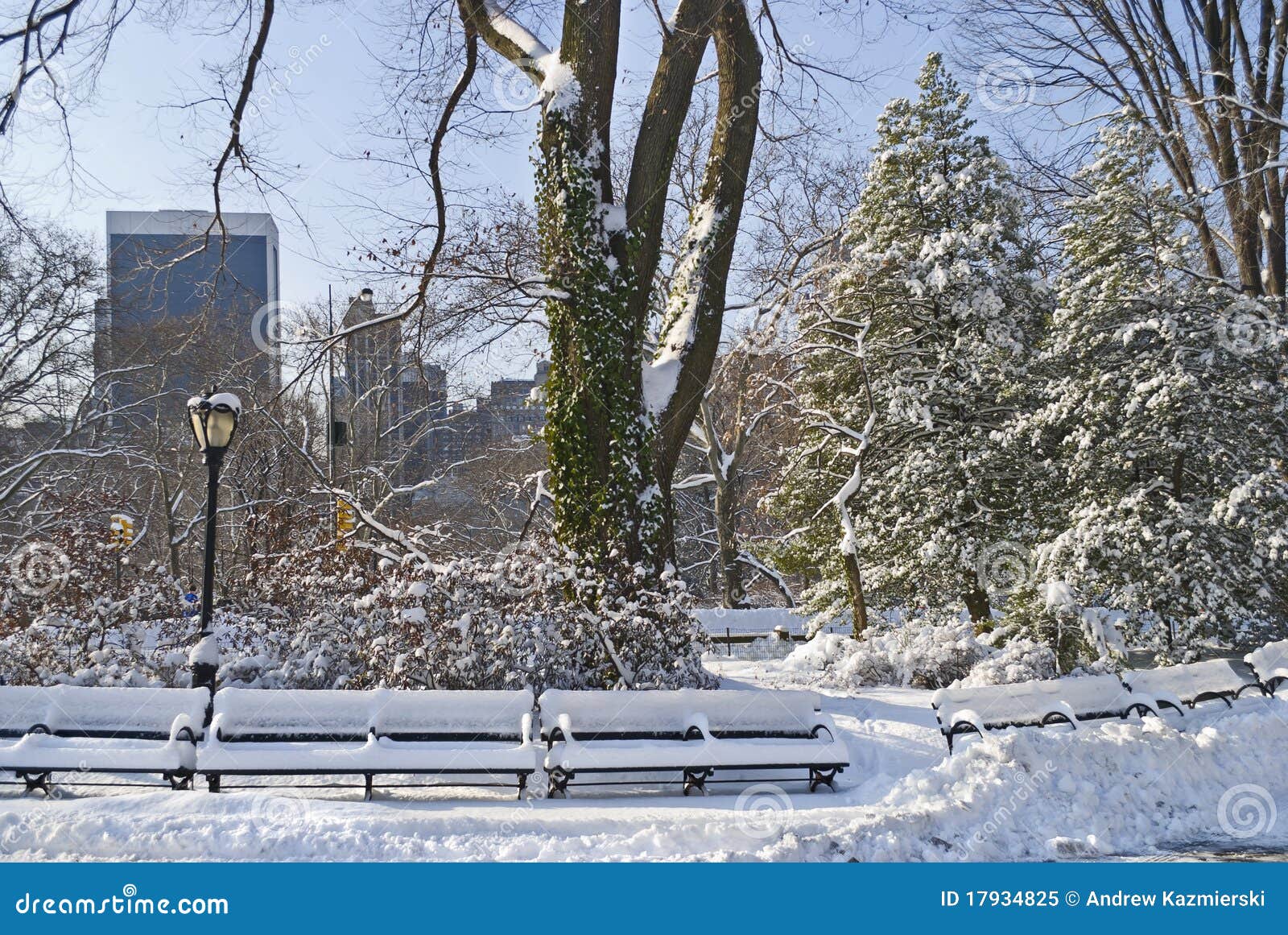 Central Park and Snow stock image. Image of landmark - 17934825