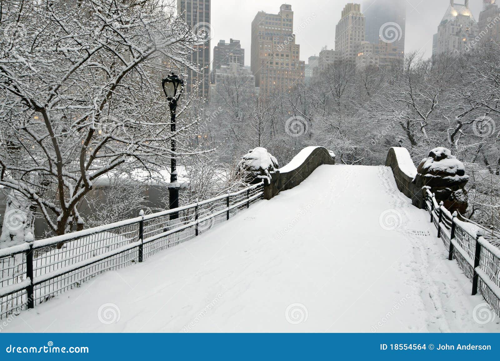 Central Park in snow storm stock photo. Image of york - 18554564