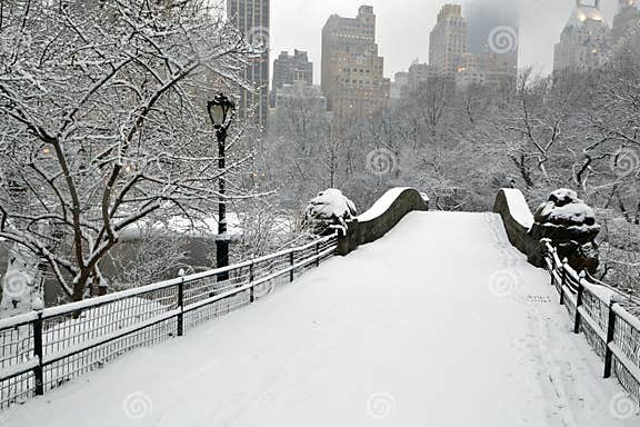 Central Park in snow storm stock photo. Image of york - 18554564